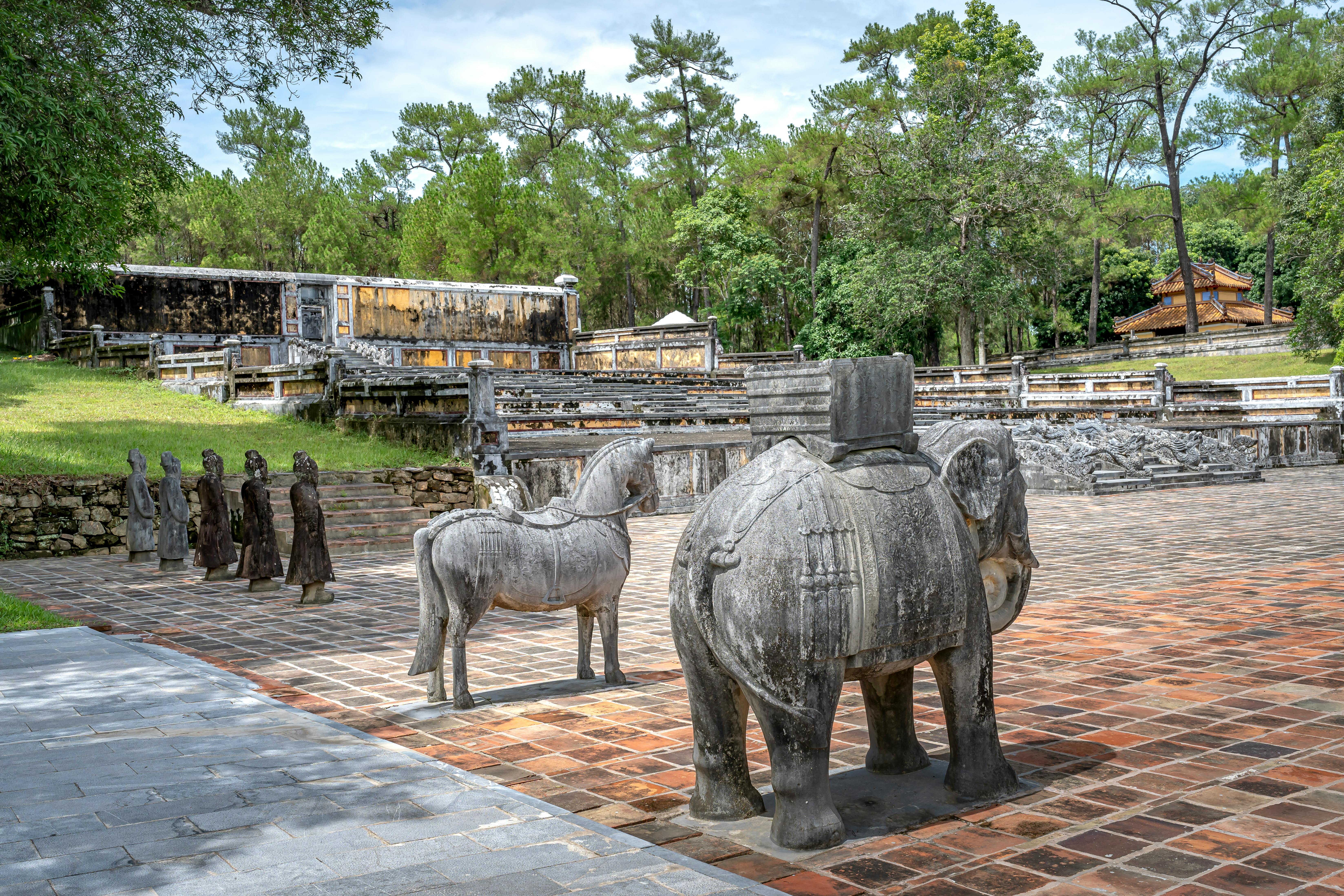 Elephant With Horse Photos, Download The BEST Free Elephant With Horse ...