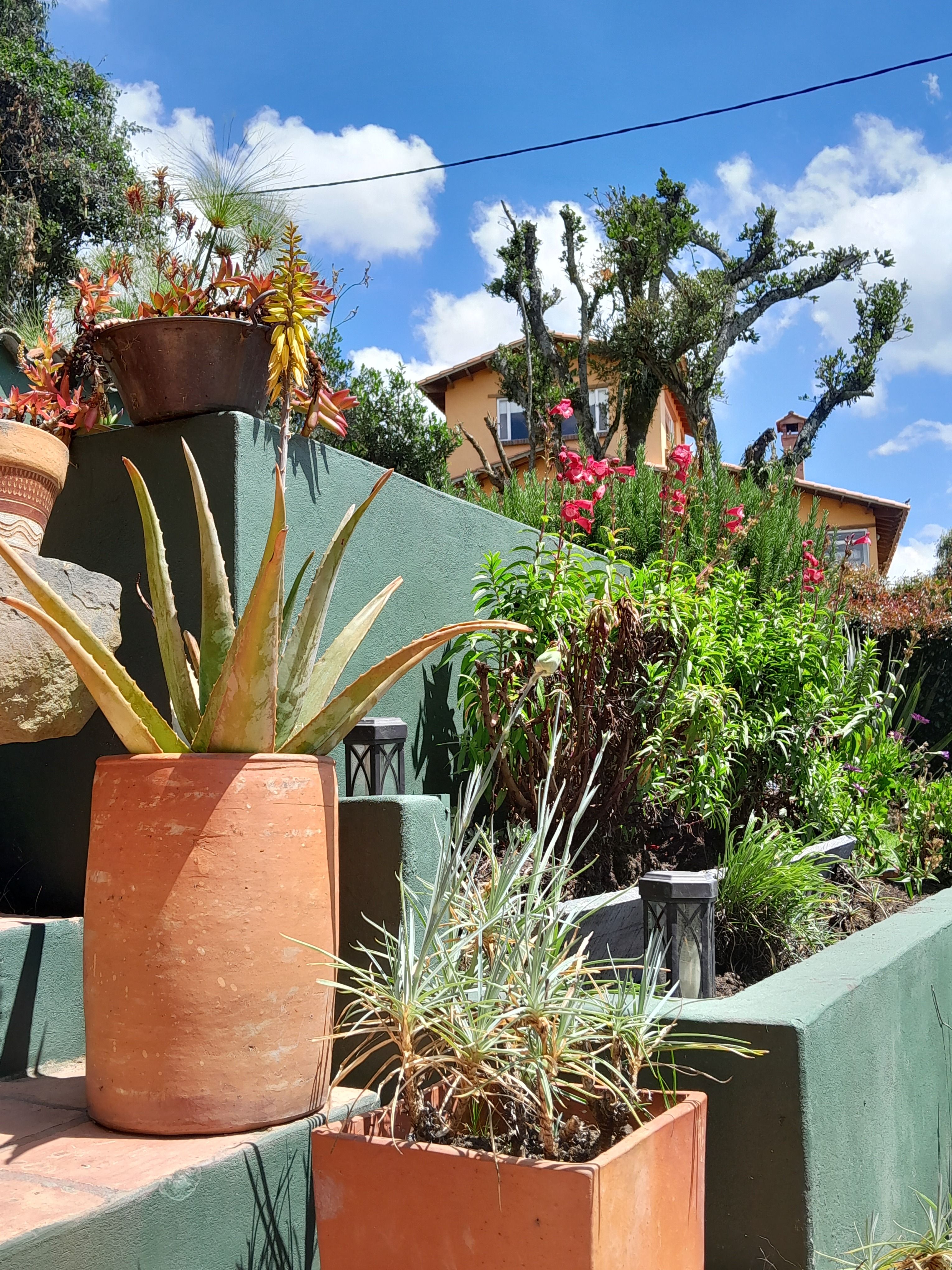 Vibrant Outdoor Terrace with Potted Plants · Free Stock Photo