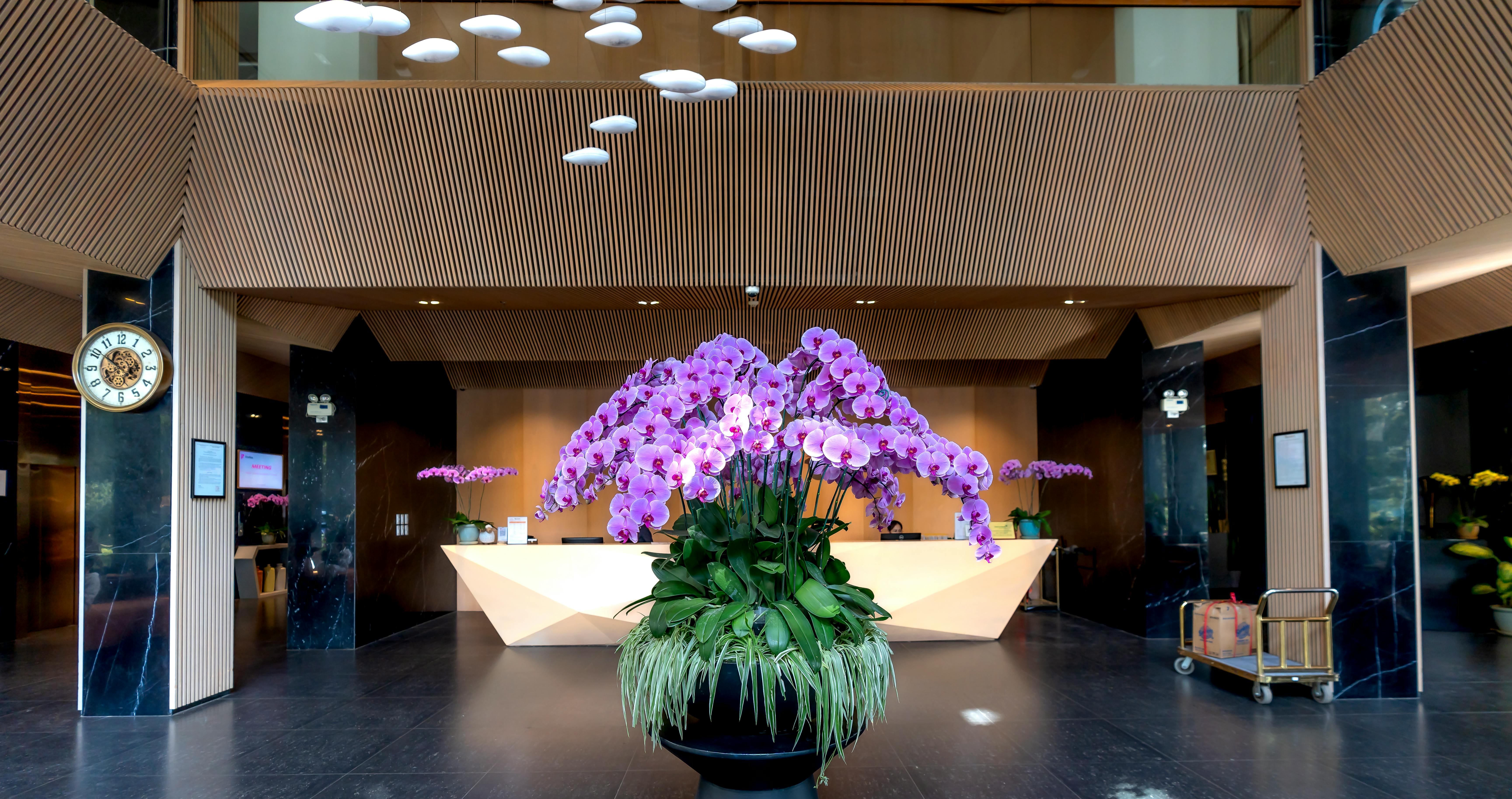 Luxurious Hotel Lobby with Orchid Display · Free Stock Photo