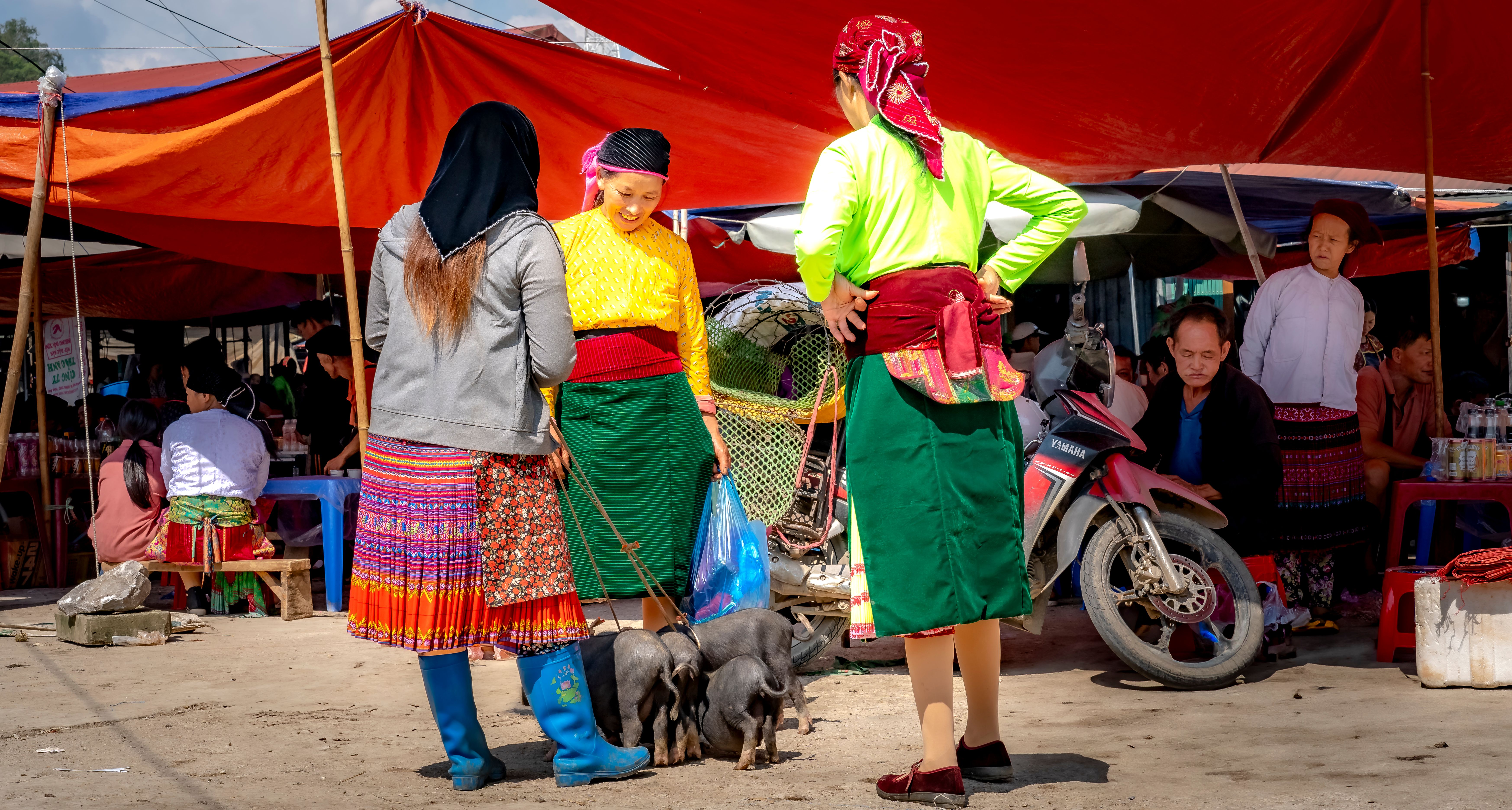 Colorful Traditional Market Scene in Village · Free Stock Photo