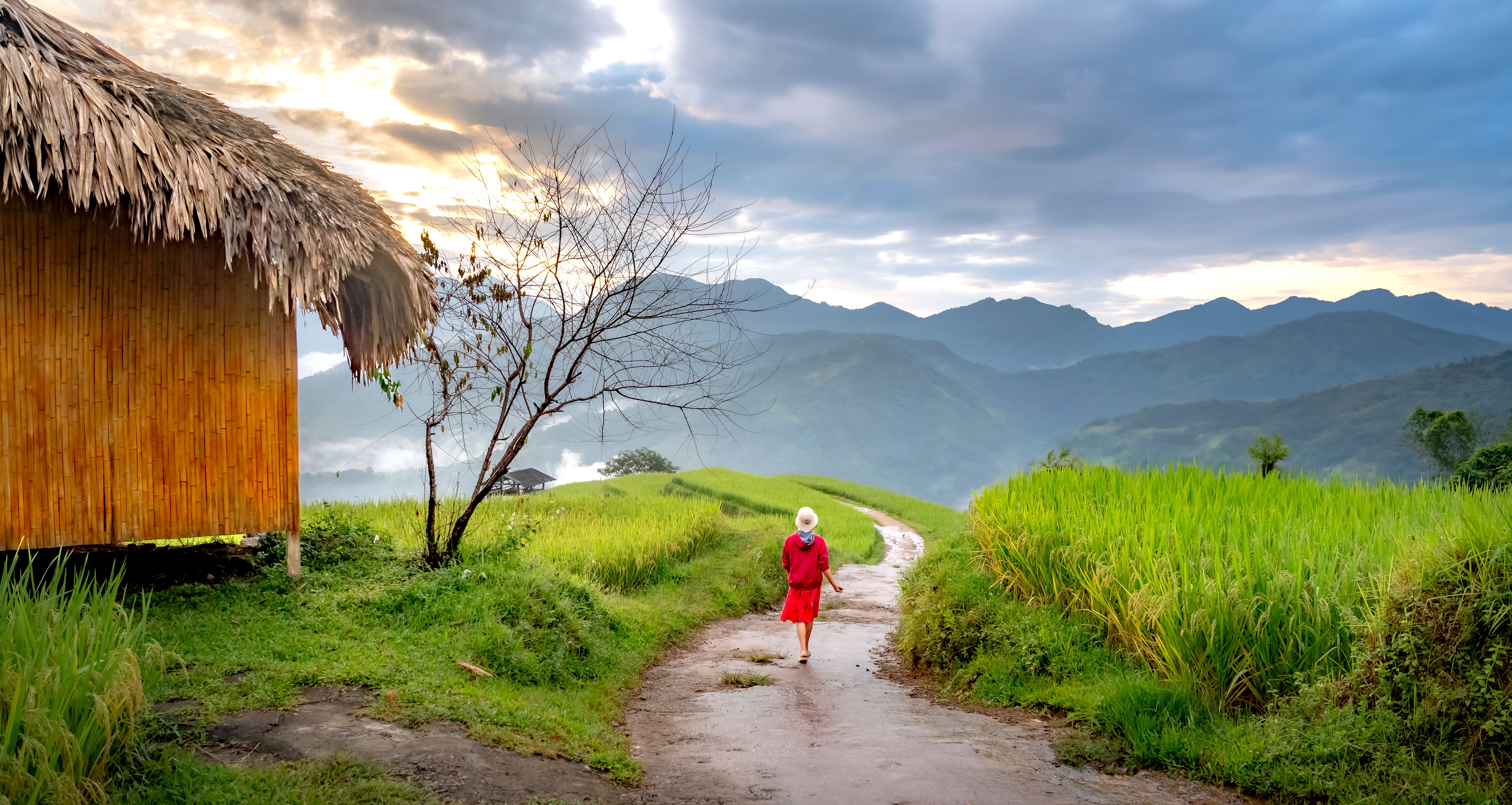 Rural Landscape with Traditional Hut · Free Stock Photo