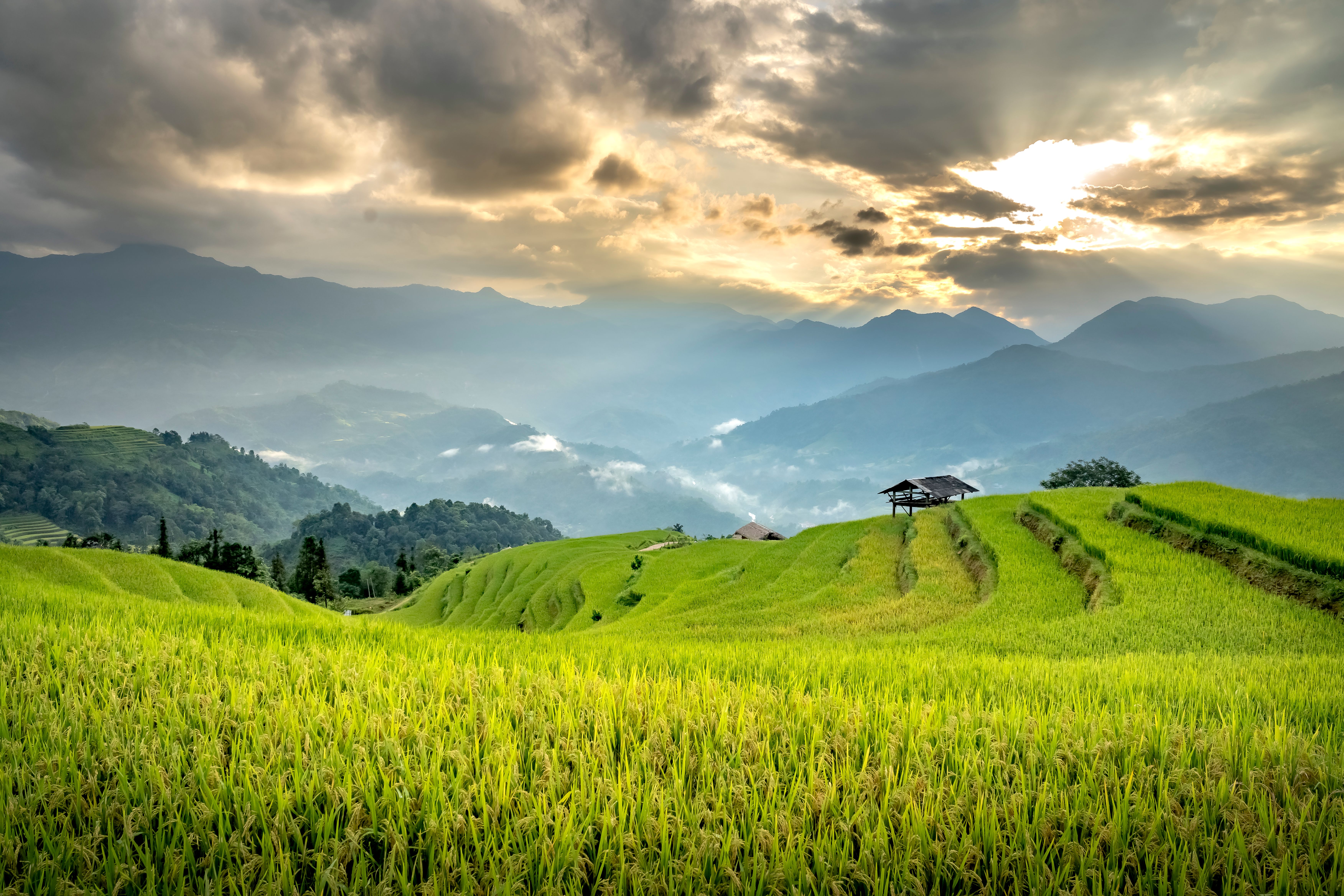 Breathtaking Sunrise over Lush Mountain Terraces · Free Stock Photo