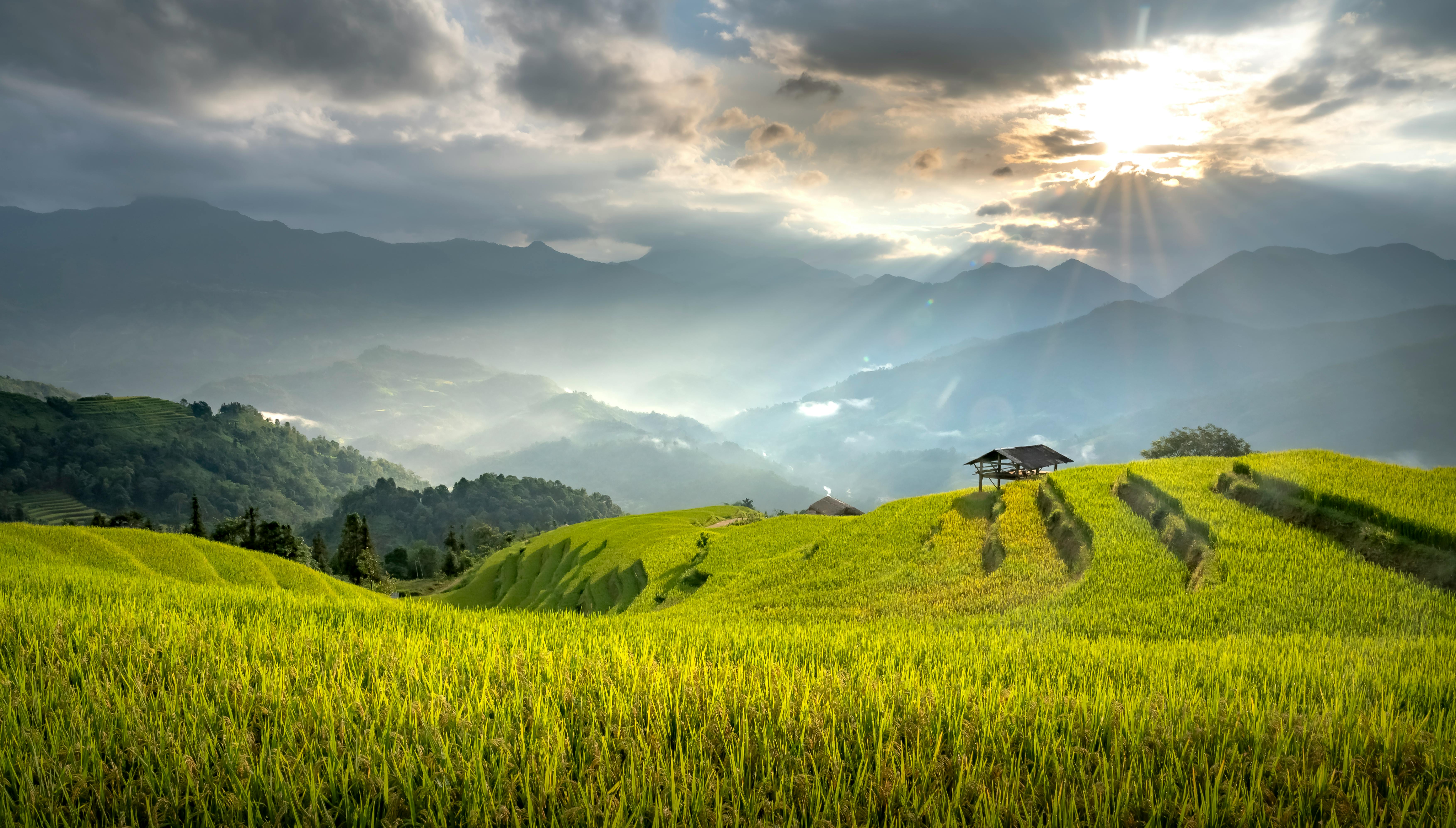 Scenic Rice Terrace Landscape with Sunrise · Free Stock Photo