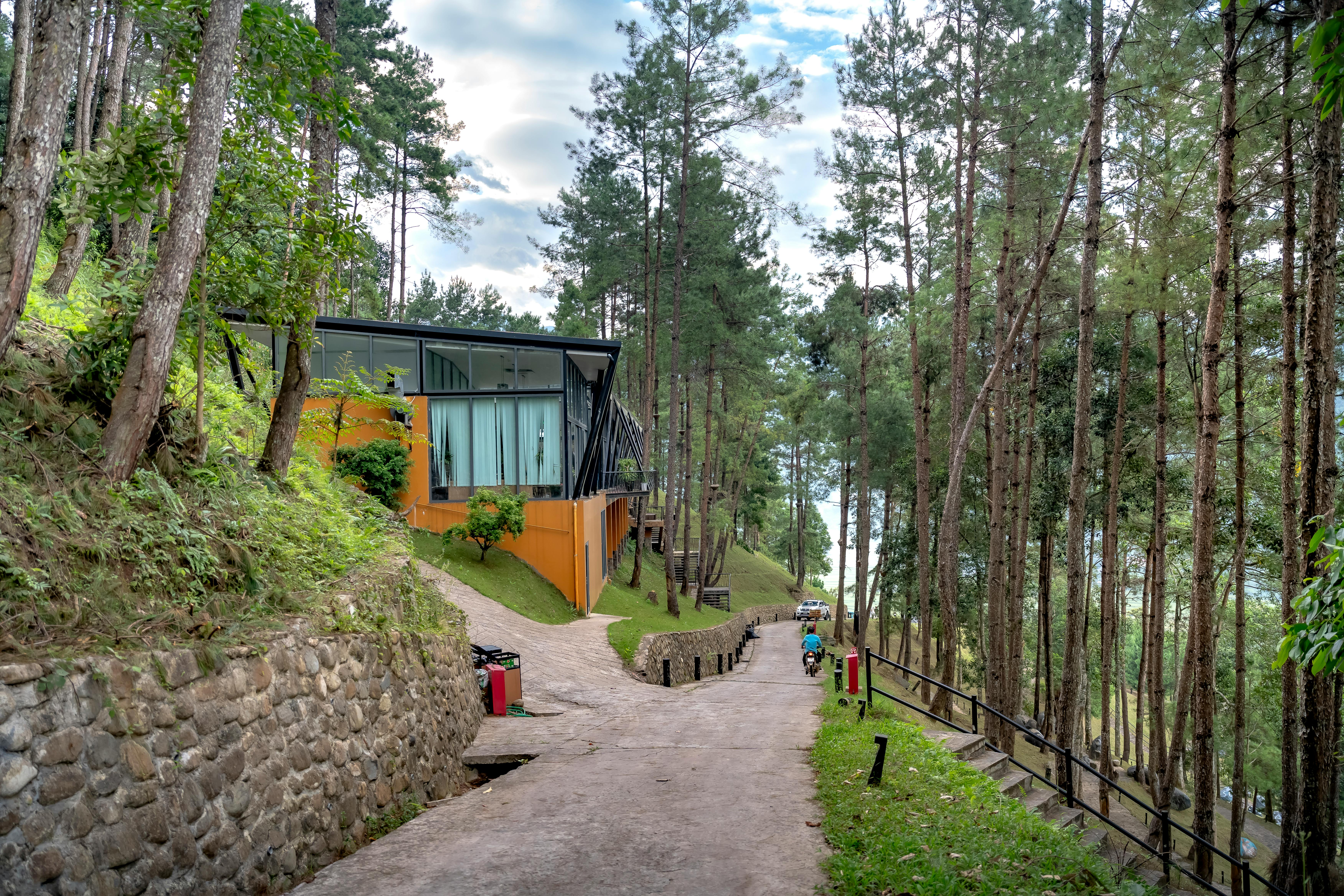 Modern Cabin in Pine Forest with Scenic Pathway · Free Stock Photo
