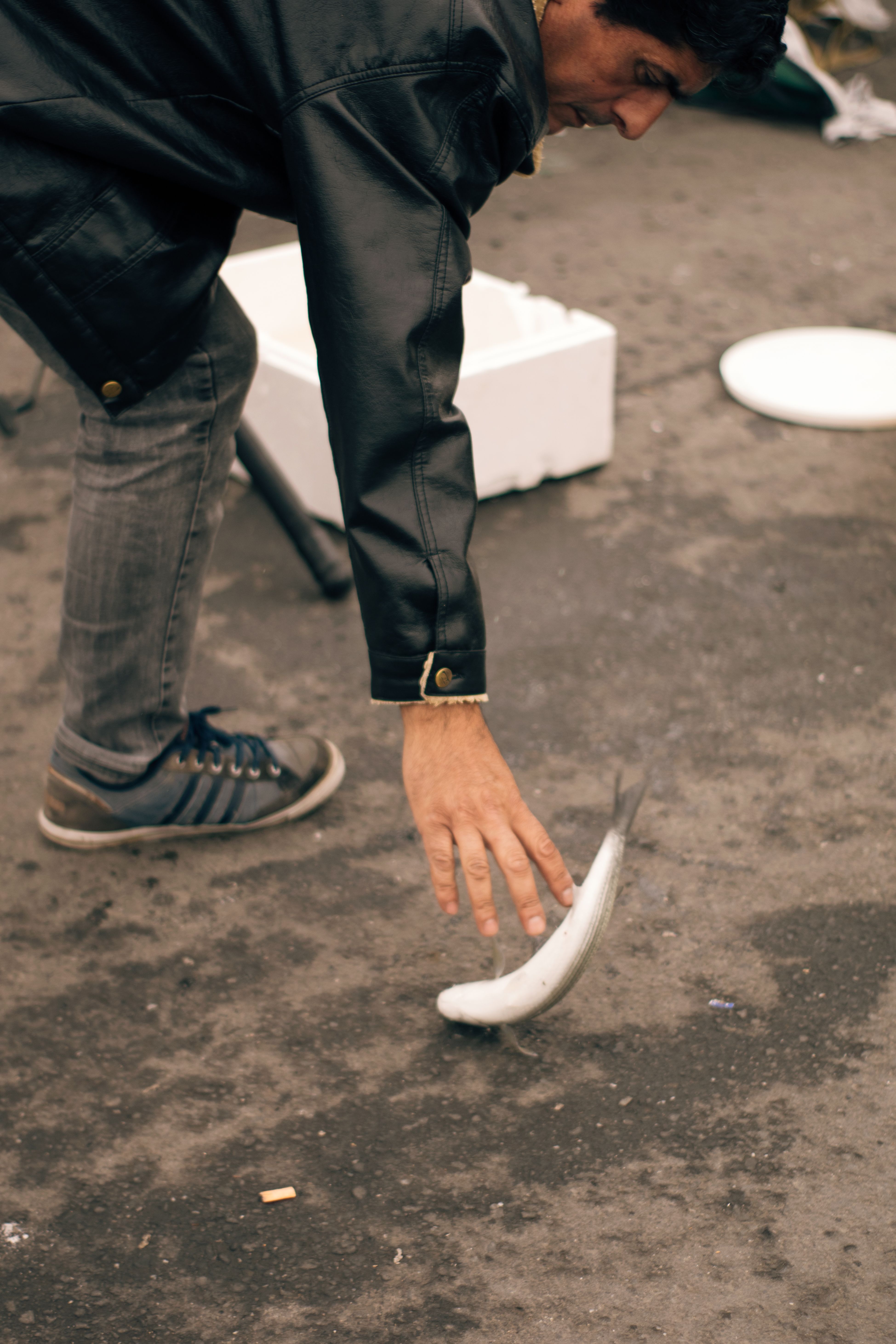Man Dropping Fish in Market Setting · Free Stock Photo