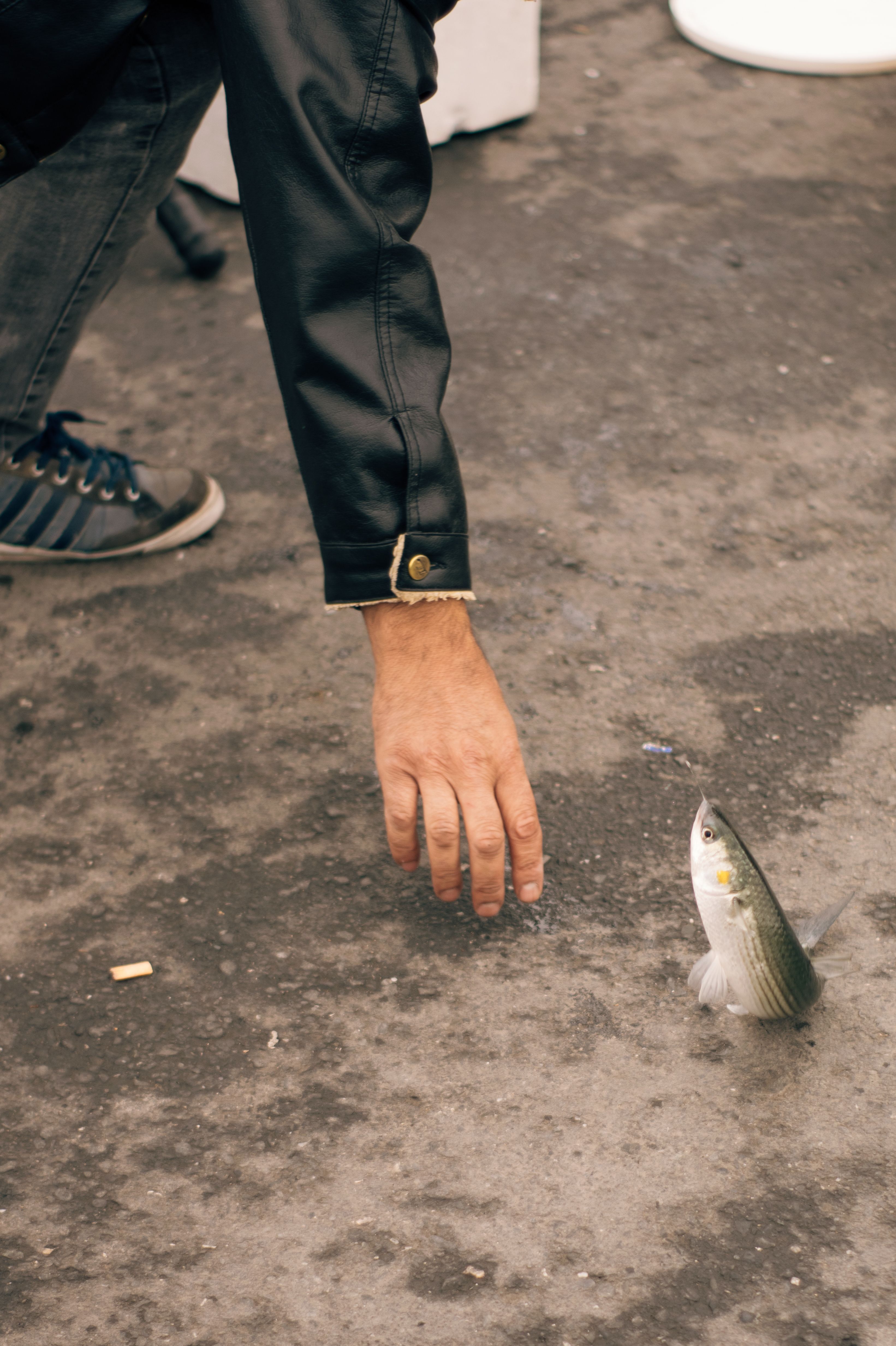 Hombre Buscando Un Pez En Una Calle De Concreto · Foto de stock gratuita
