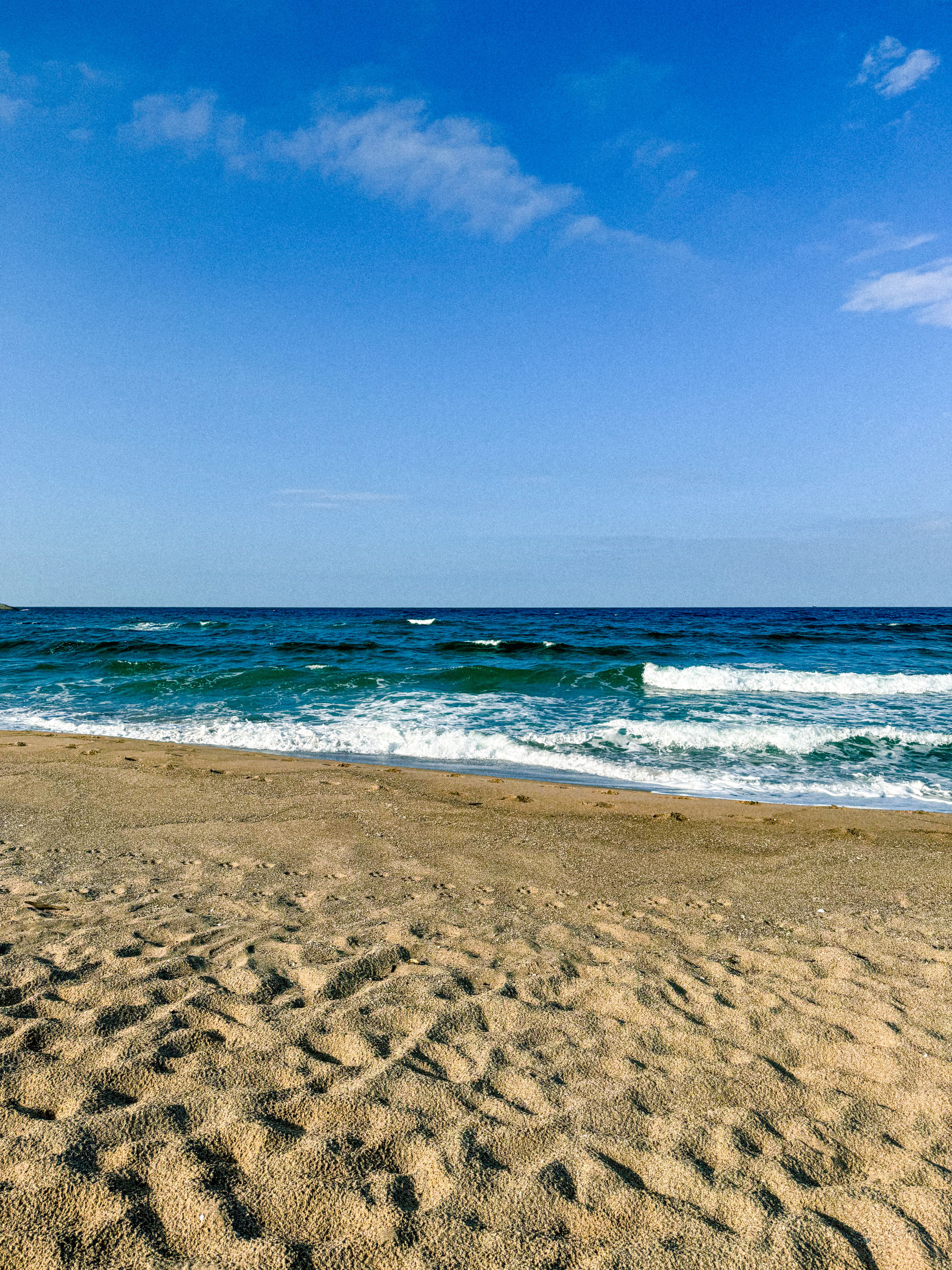 Vibrant Beach Scene with Blue Skies and Waves · Free Stock Photo