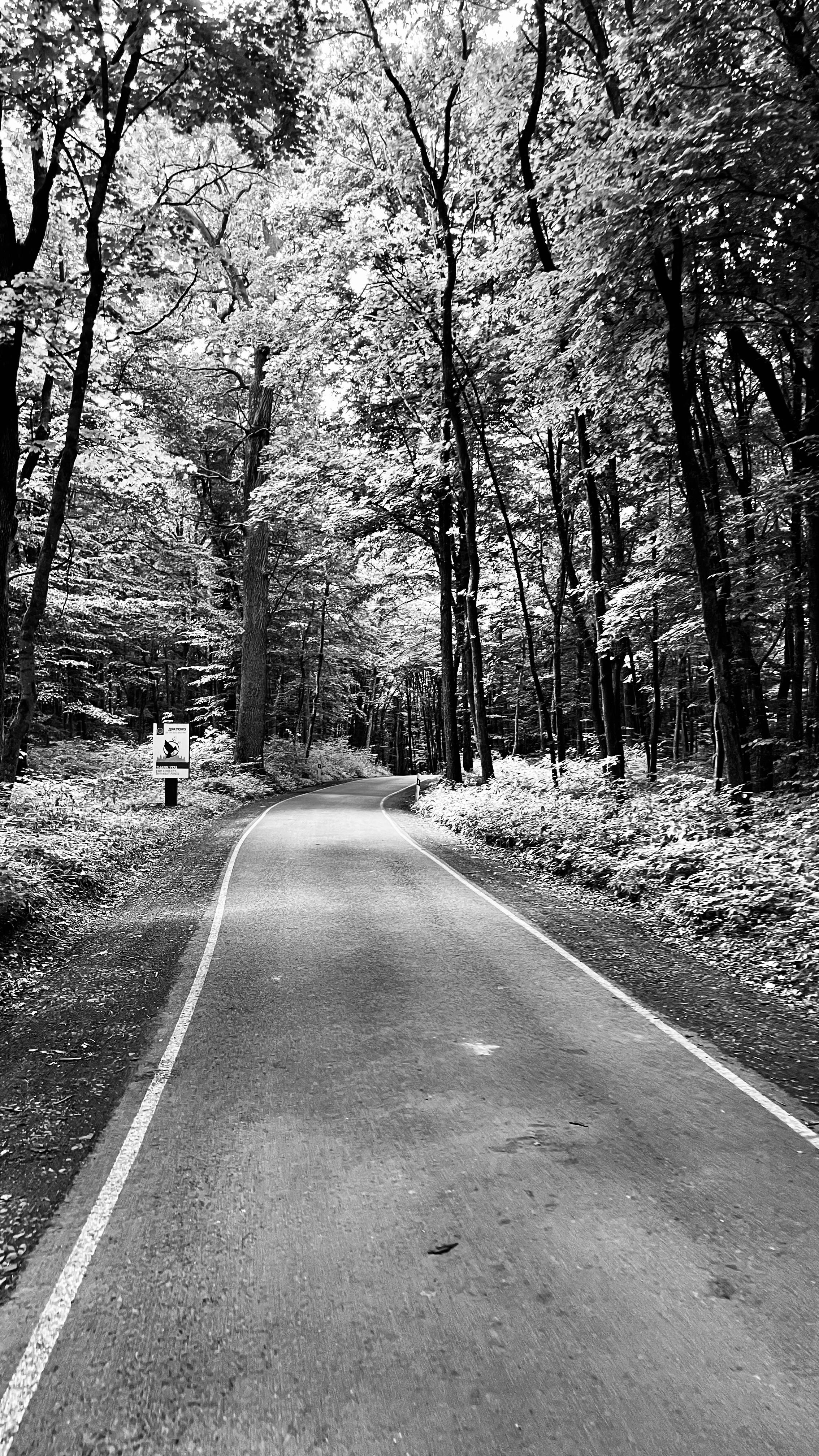 Visual Path Photos, Download The BEST Free Visual Path Stock Photos ...