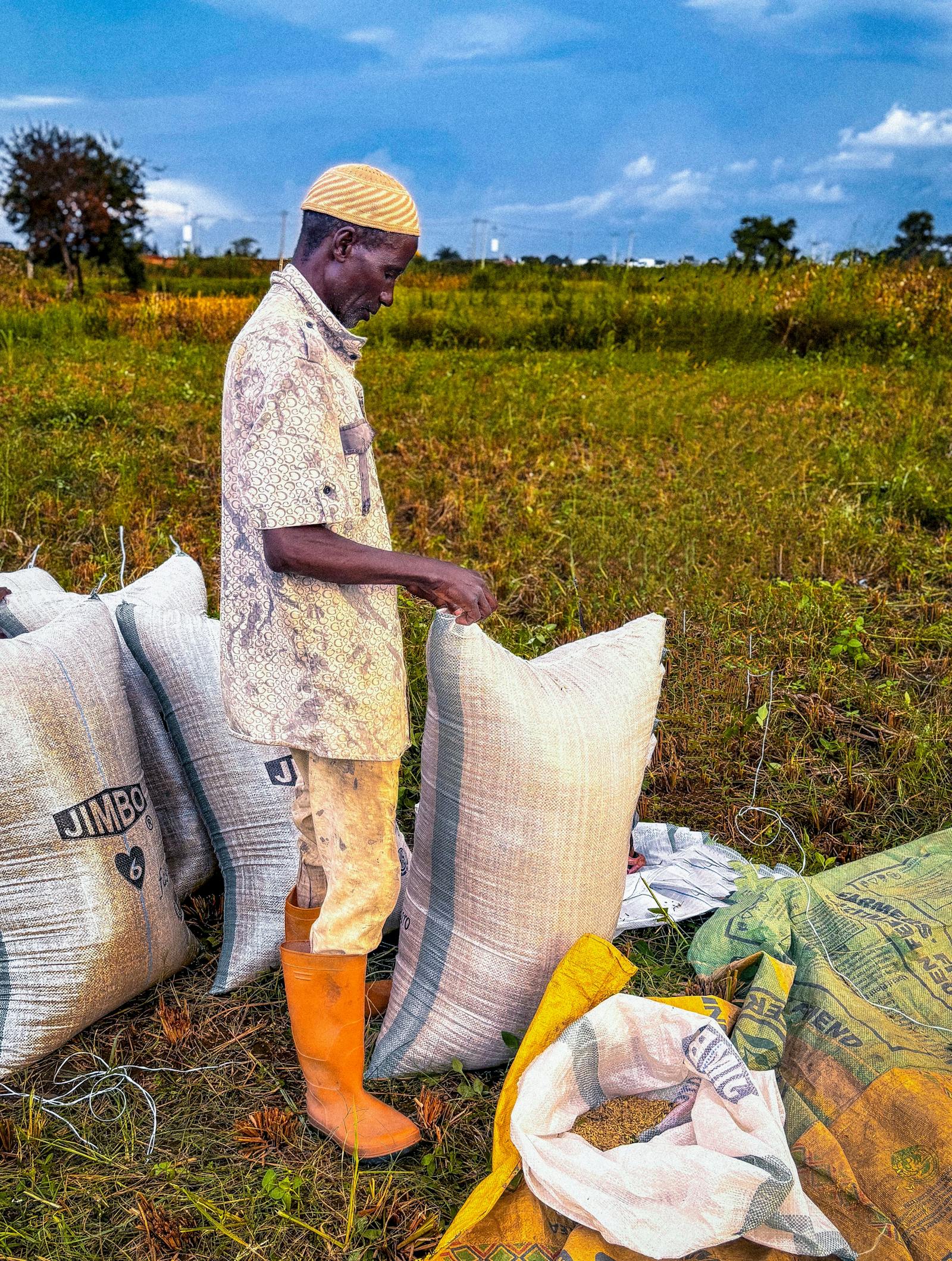 African Farmer Photos, Download The BEST Free African Farmer Stock ...