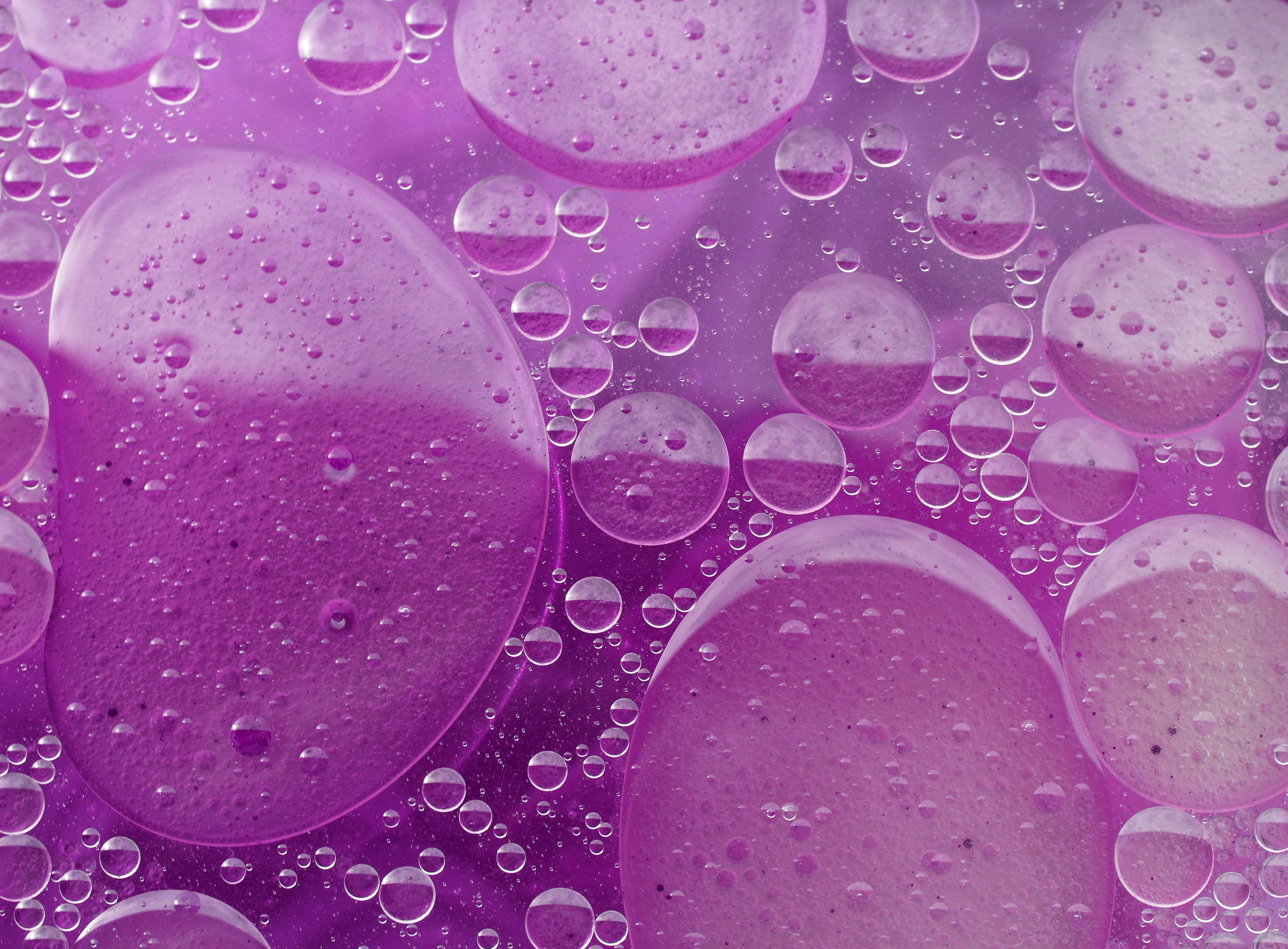 Vibrant Abstract Purple Oil and Water Bubbles · Free Stock Photo