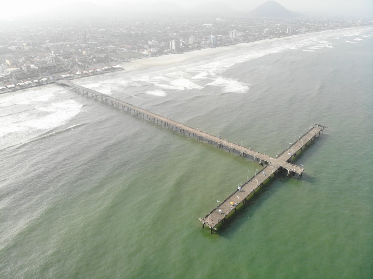 Hinh+Anh+Con+Sao+La Photos, Download The BEST Free Hinh+Anh+Con+Sao+La ...