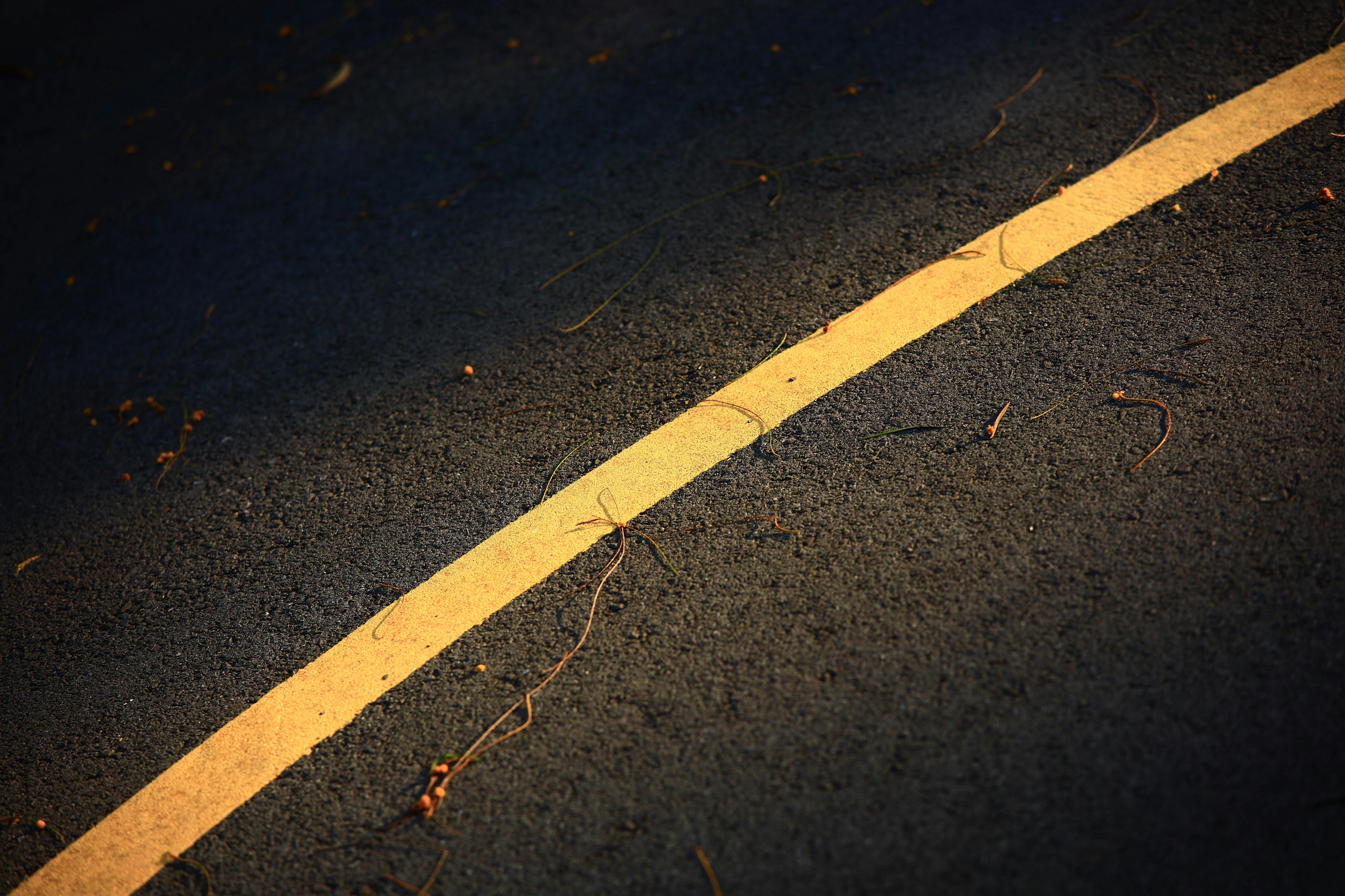 Curved Yellow Road Line on Asphalt in Fujian · Free Stock Photo