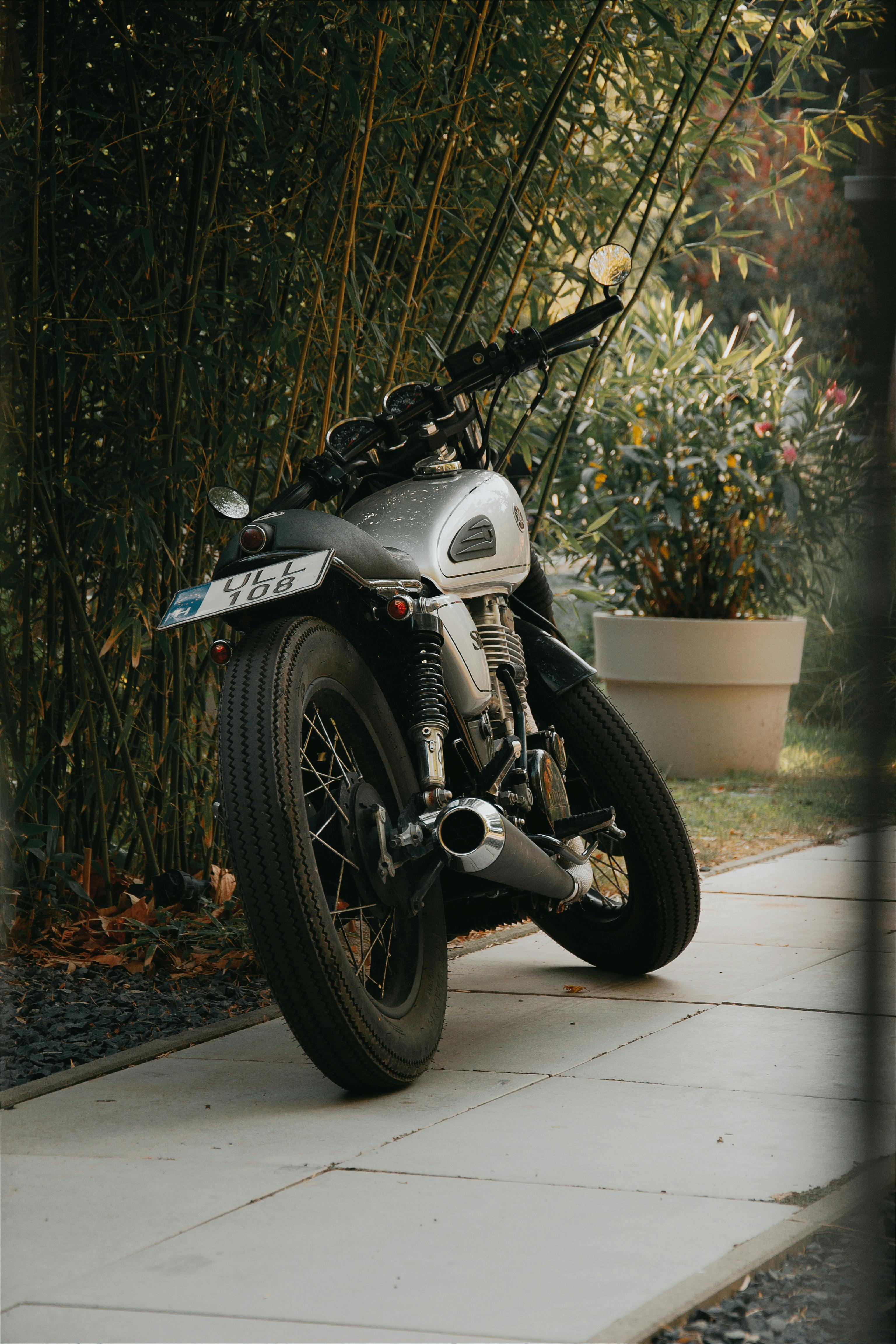 Classic Motorcycle Parked in a Garden Setting · Free Stock Photo