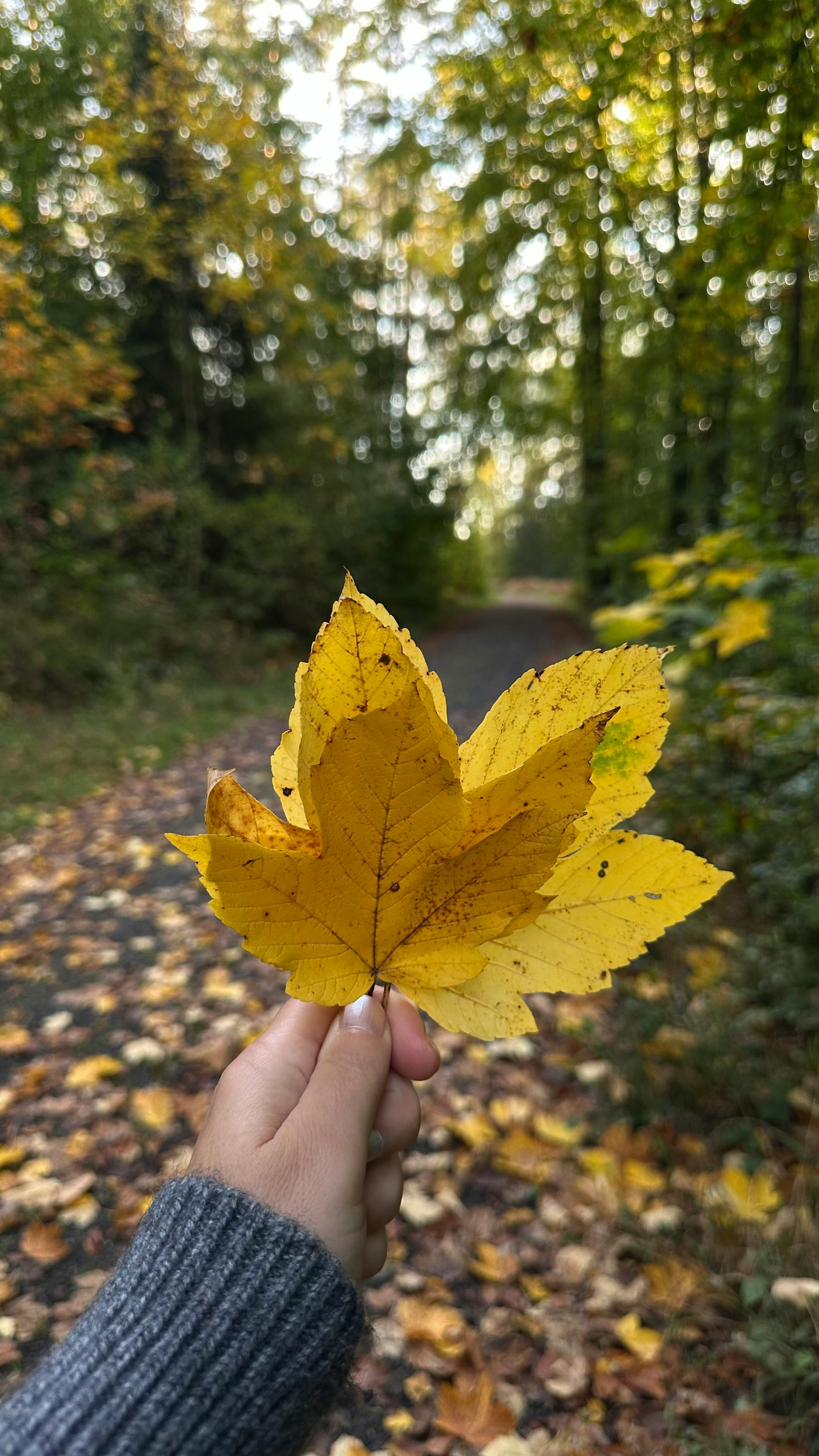 Hand Paths Photos, Download The BEST Free Hand Paths Stock Photos & HD ...