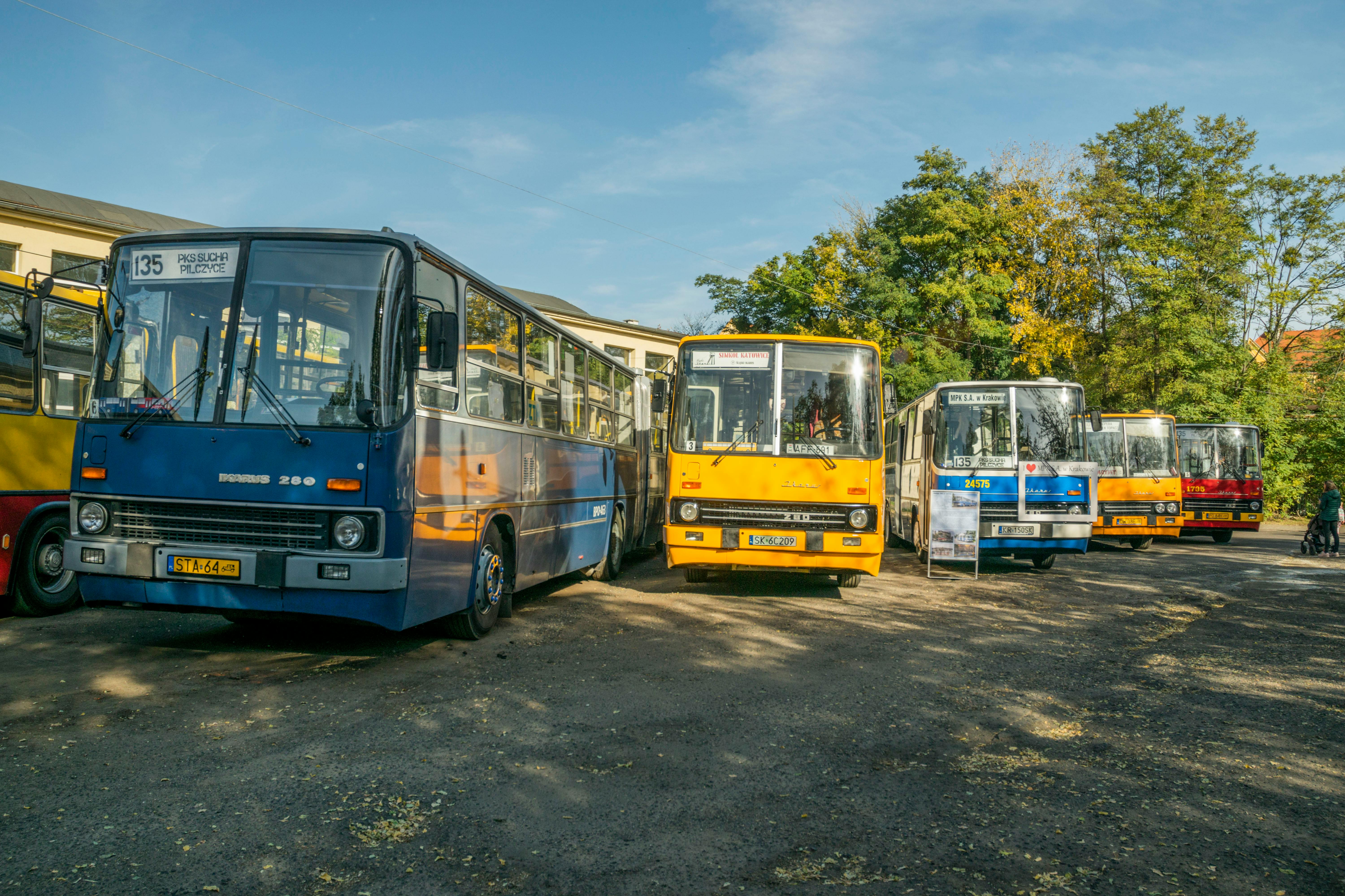 Vintage Buses Line Up in Wrocław, Poland · Free Stock Photo
