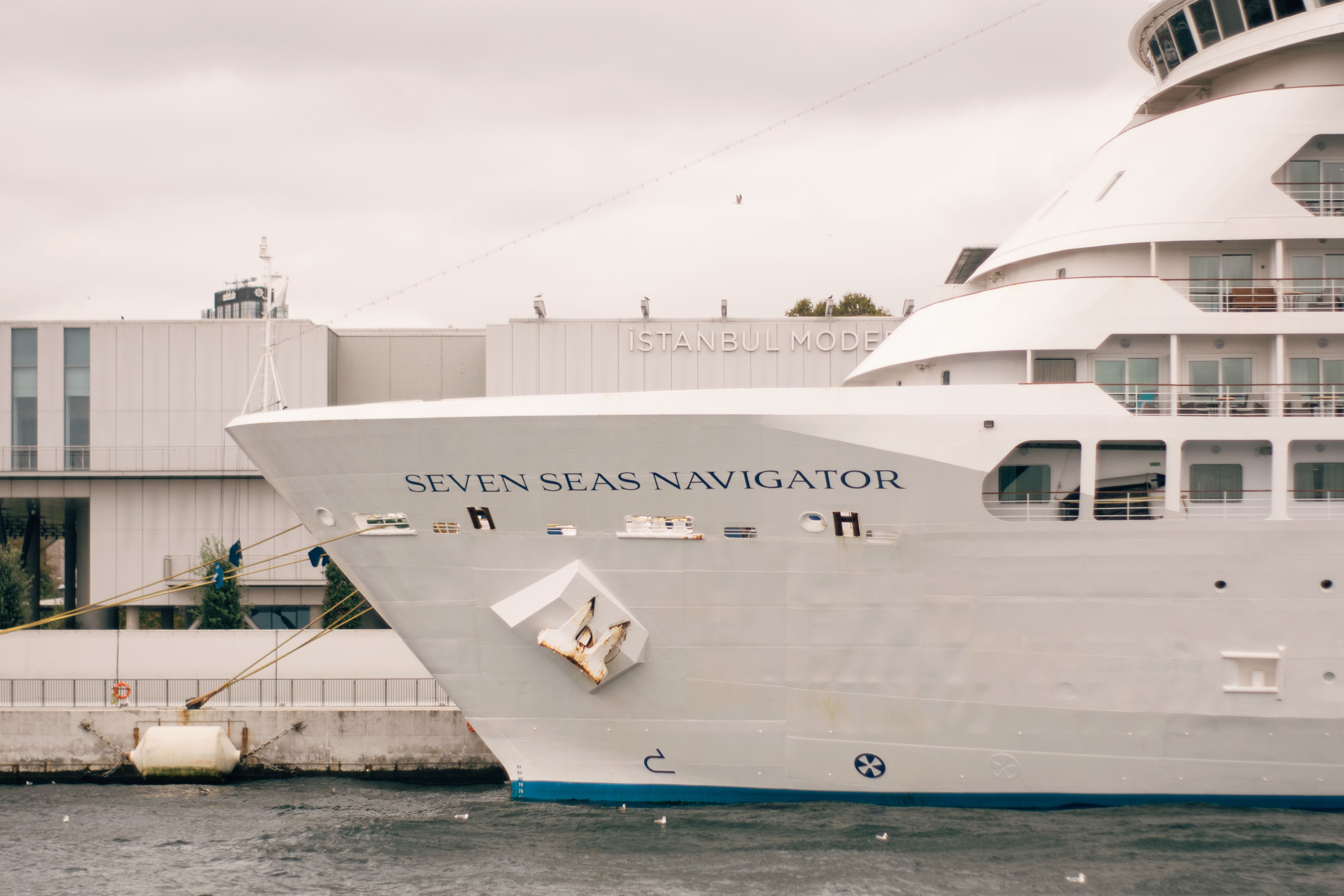 Cruise Ship Seven Seas Navigator in Istanbul Harbor · Free Stock Photo