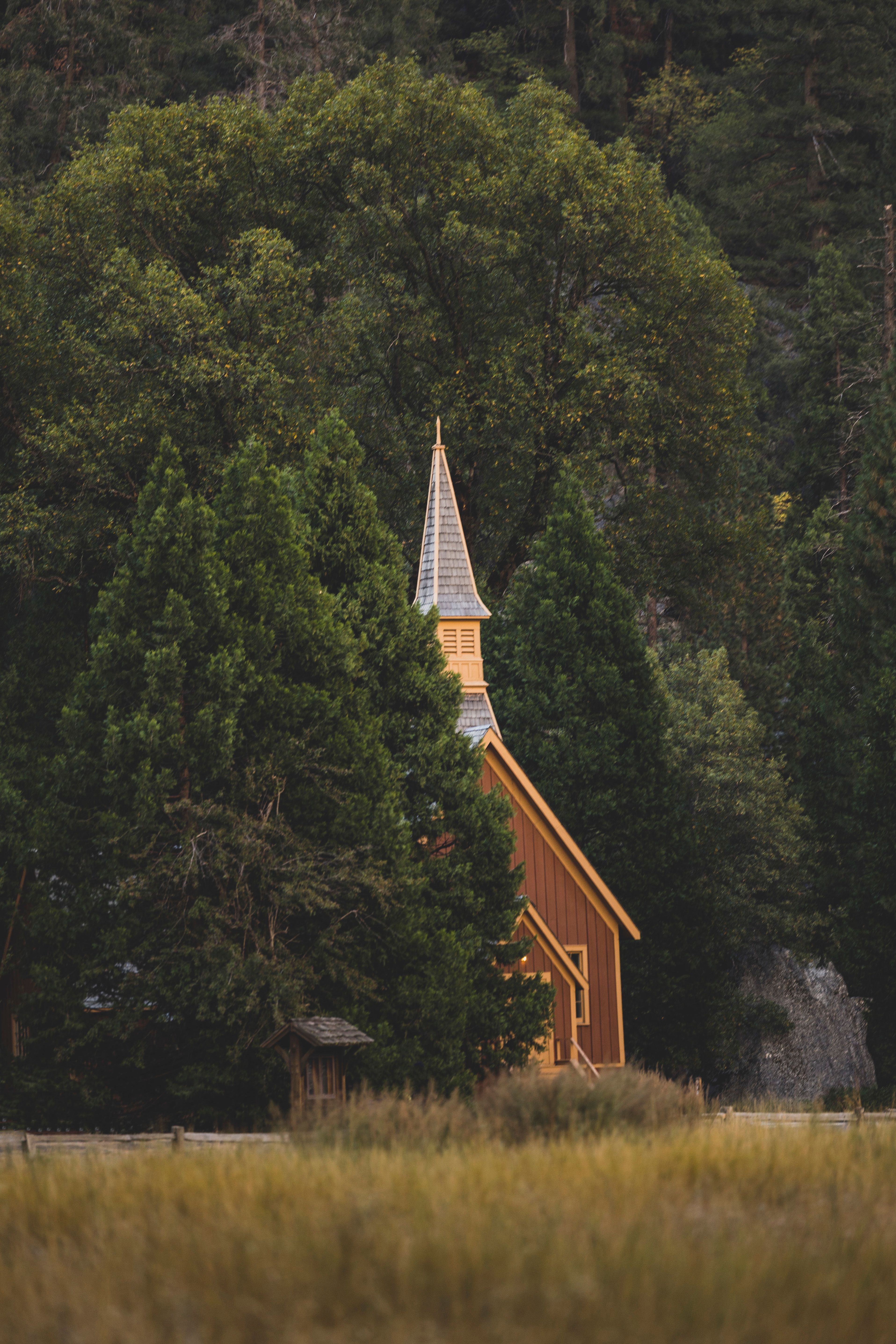Rustic Chapel Amidst Lush Green Forest · Free Stock Photo