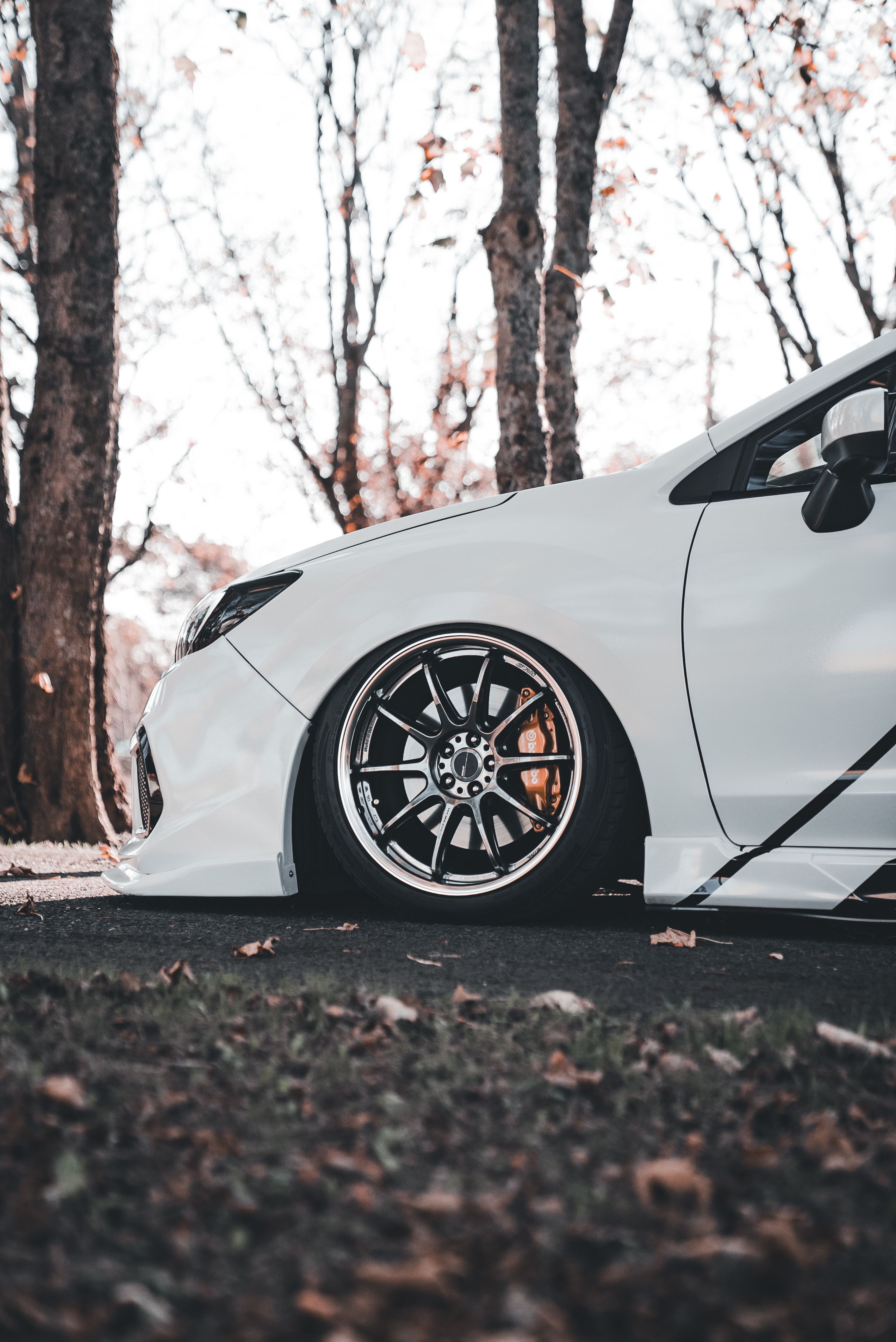Low Profile White Car in Autumn Park · Free Stock Photo