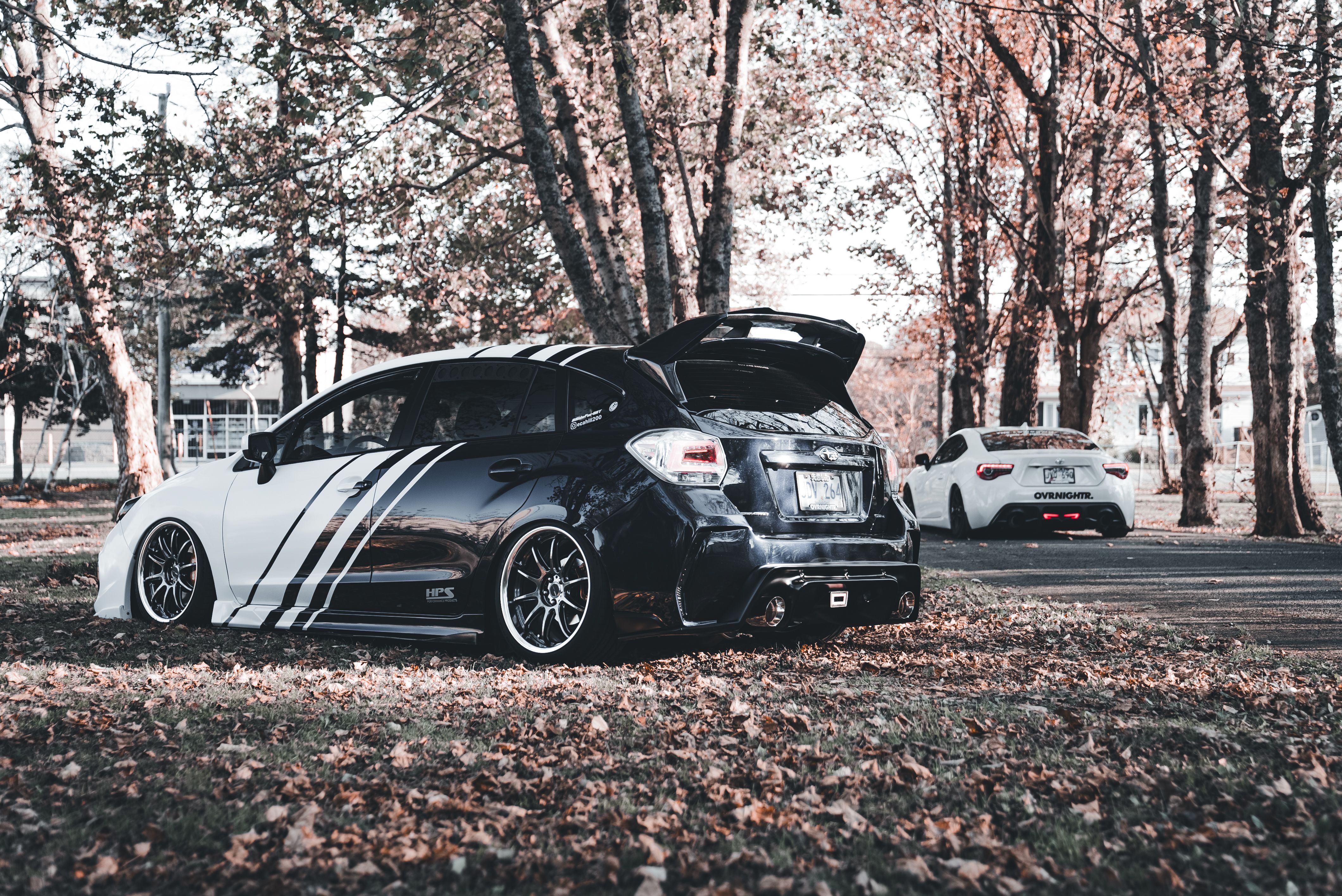 Custom Performance Cars in Autumn Park · Free Stock Photo