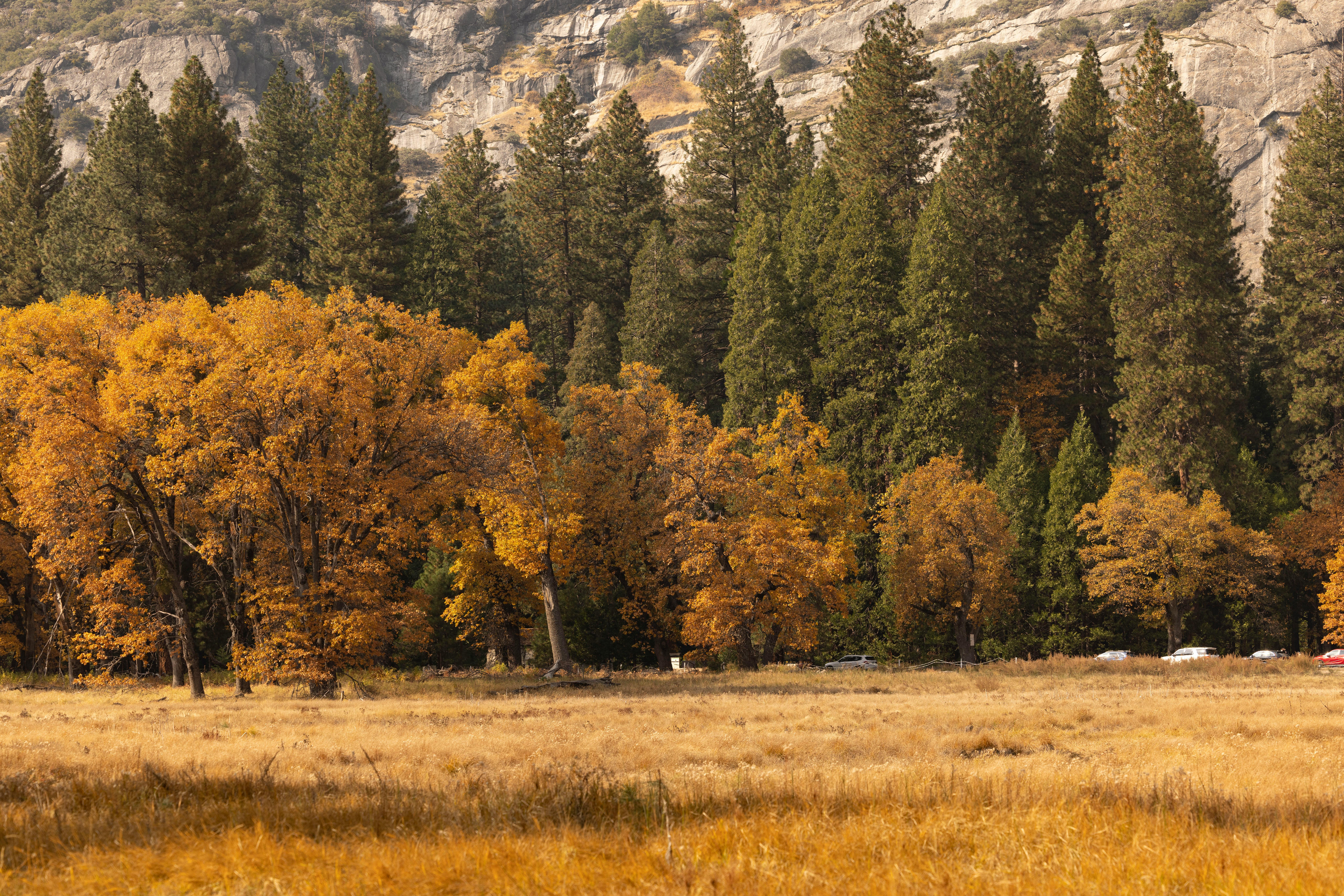 Breathtaking Autumn Scenery in Yosemite National Park · Free Stock Photo