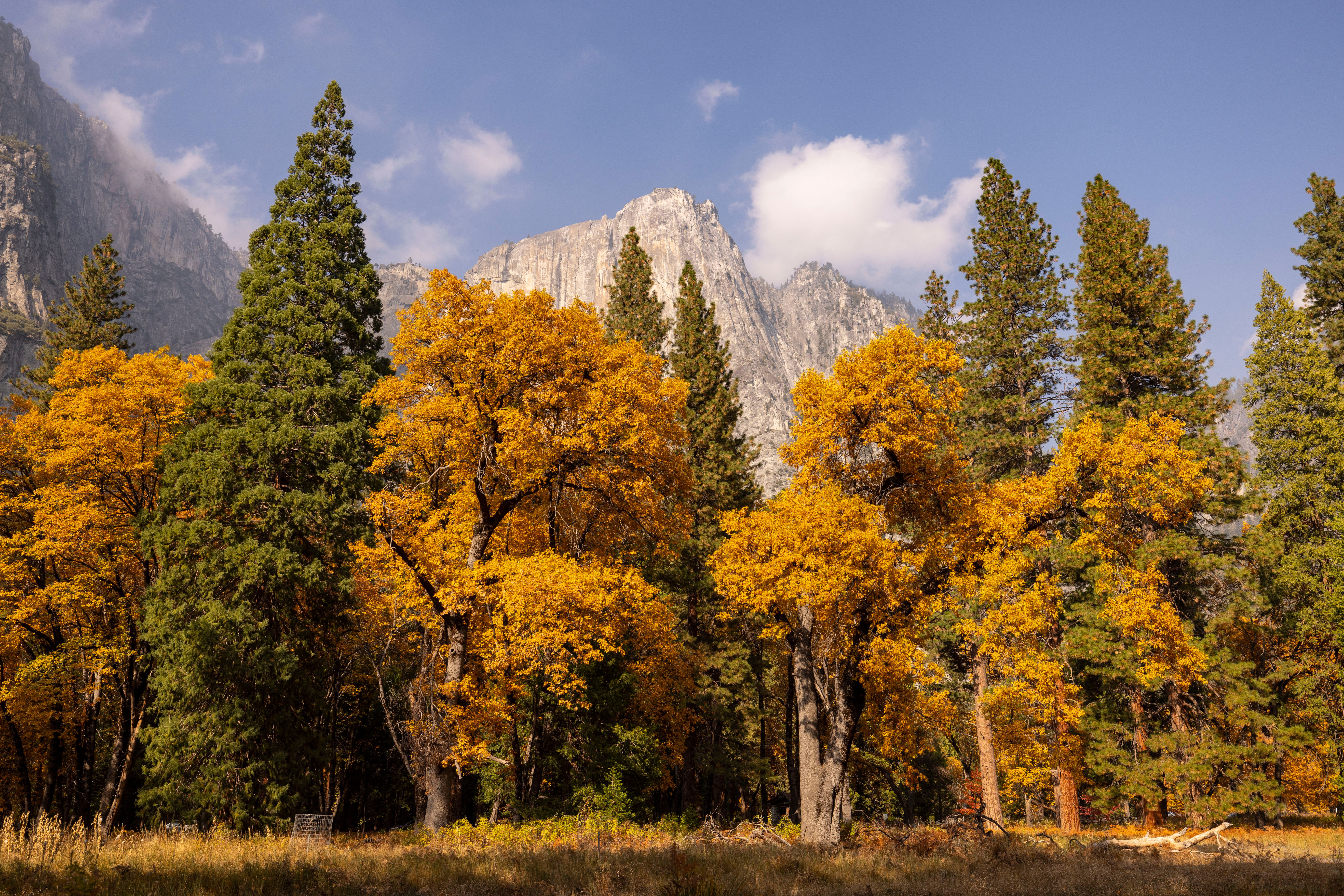 Stunning Autumn Colors in Yosemite National Park · Free Stock Photo