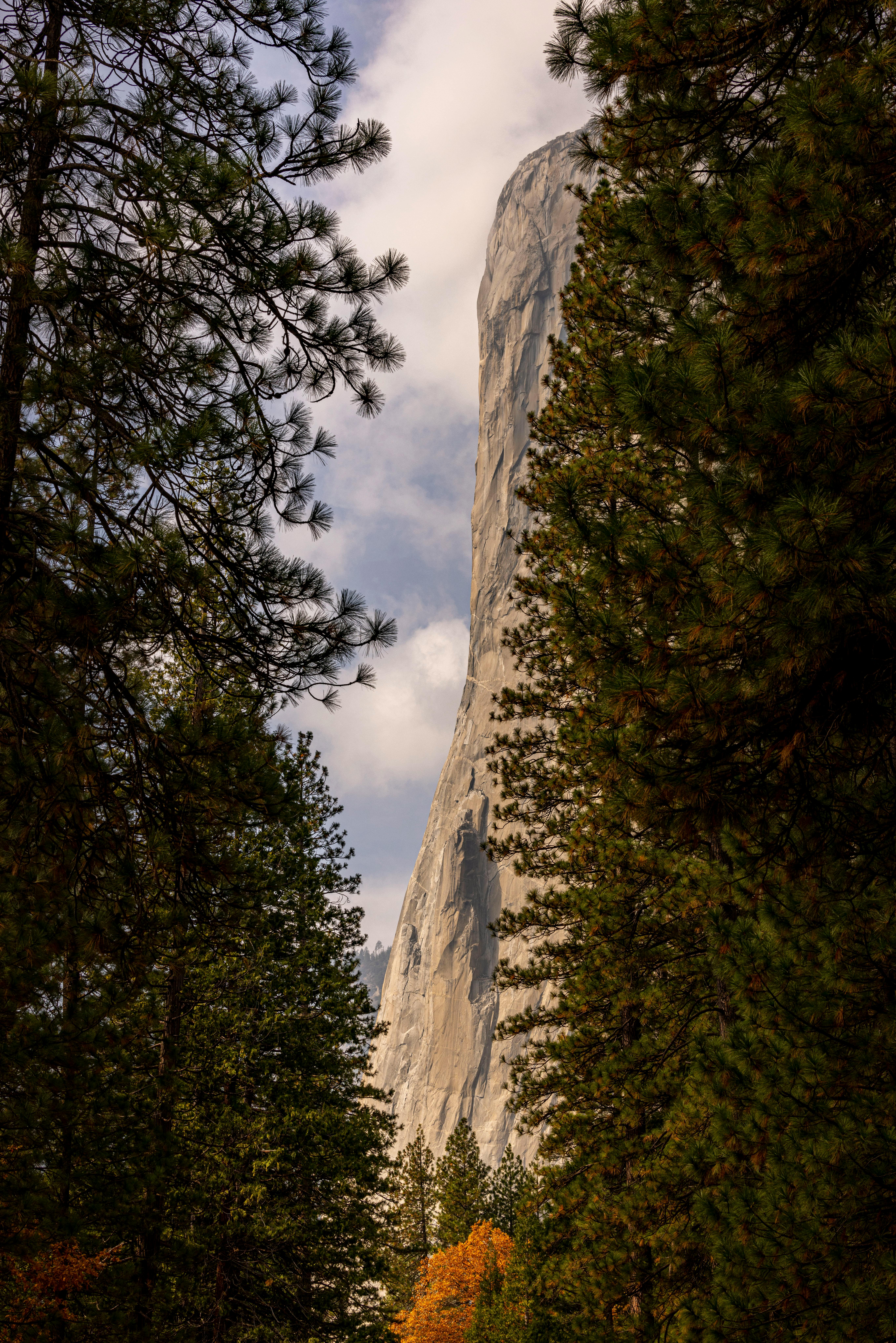 Striking View of El Capitan in Yosemite National Park · Free Stock Photo