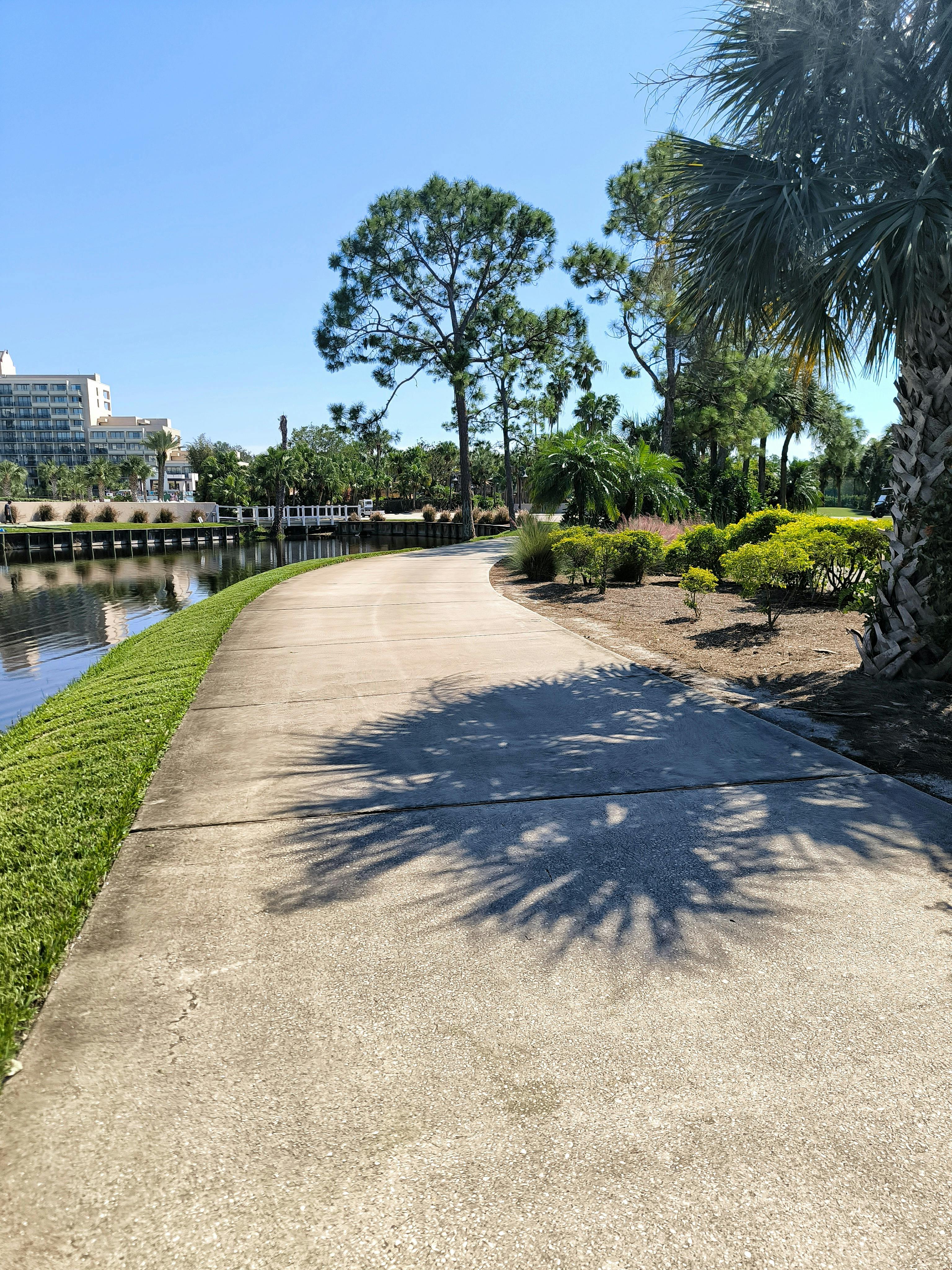 Sunny Pathway Alongside a Tranquil Stream · Free Stock Photo