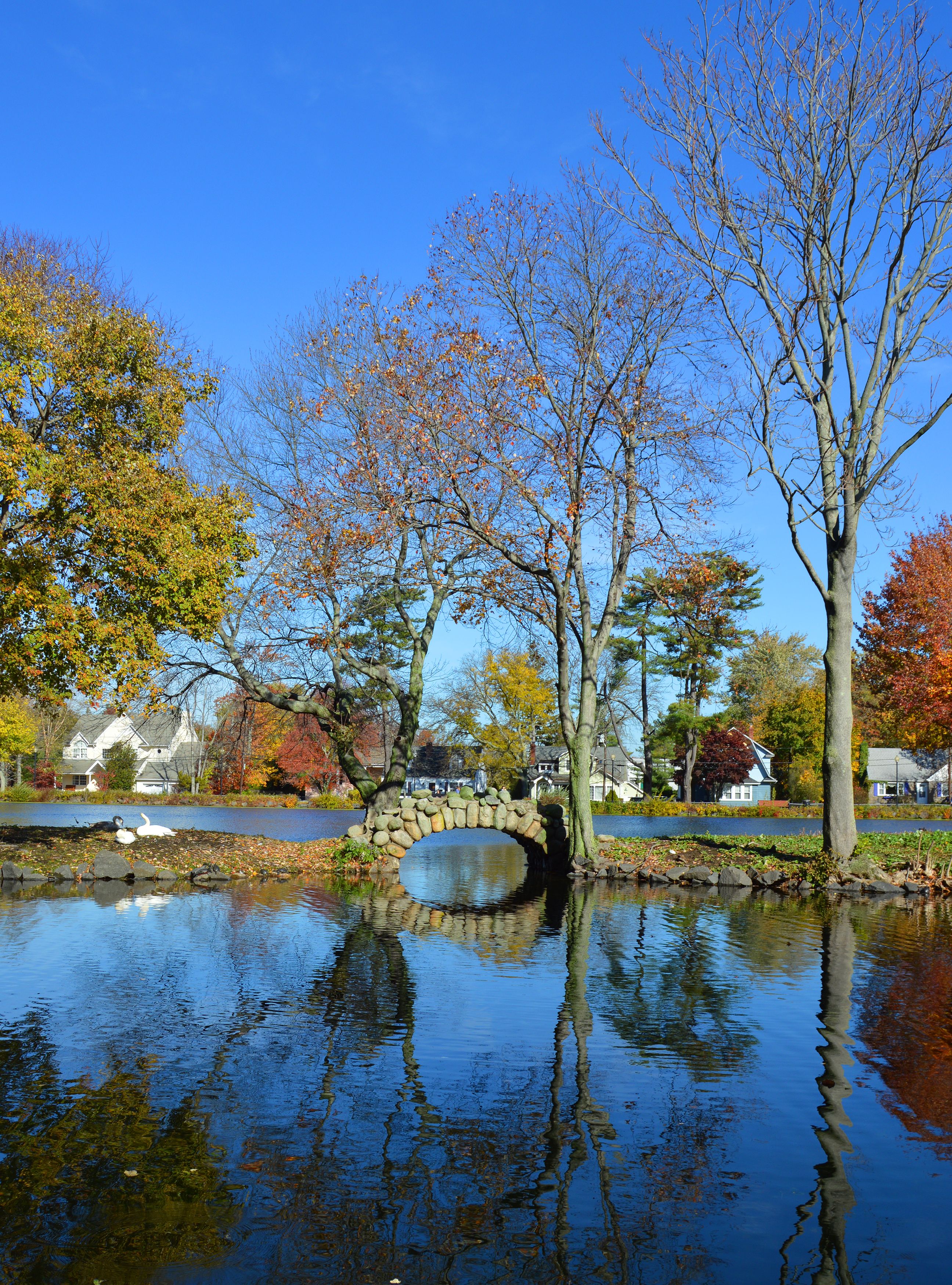Scenic Autumn Pond with Stone Bridge in Huntington · Free Stock Photo