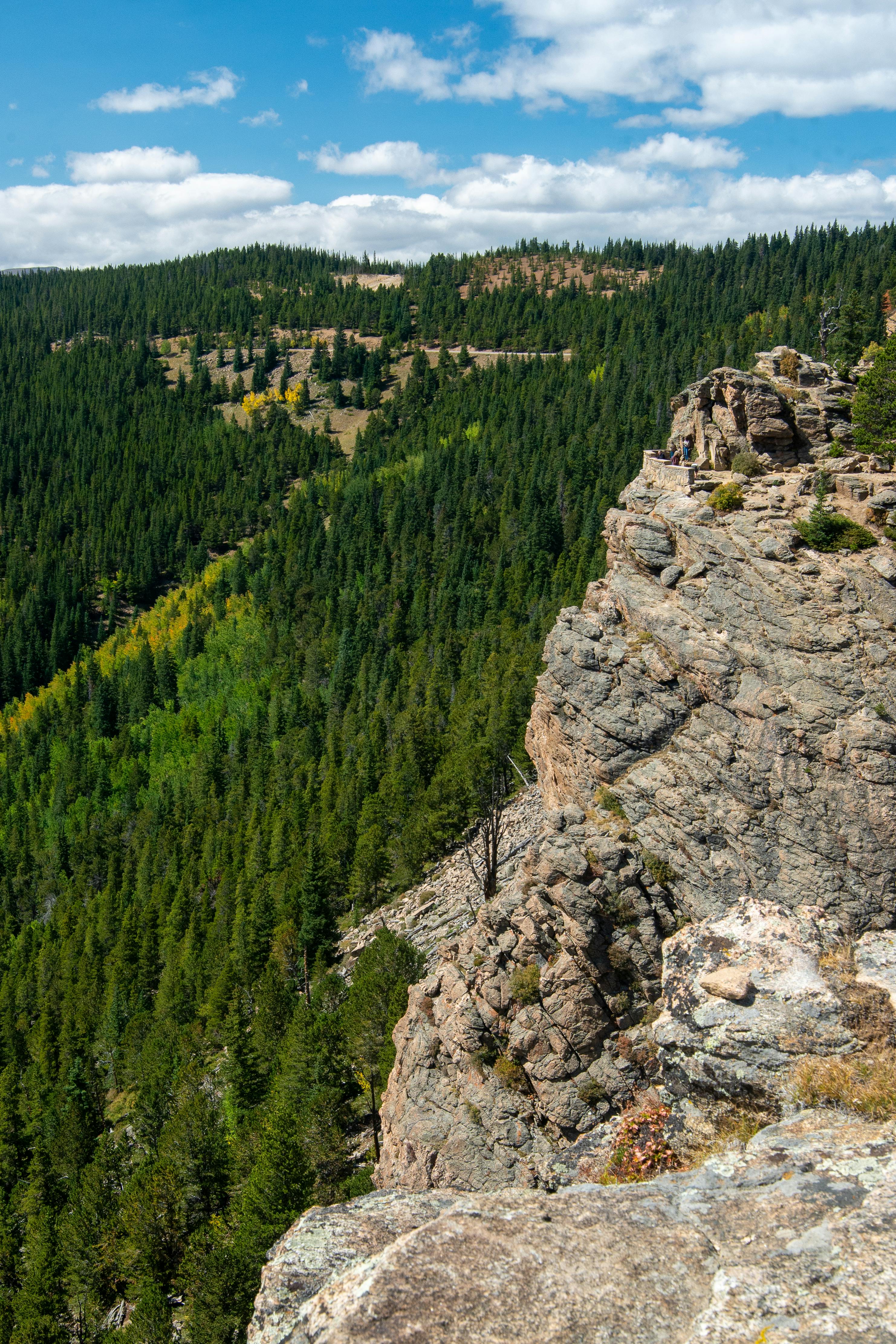 Stunning View of Rocky Forest Cliffs in Colorado · Free Stock Photo