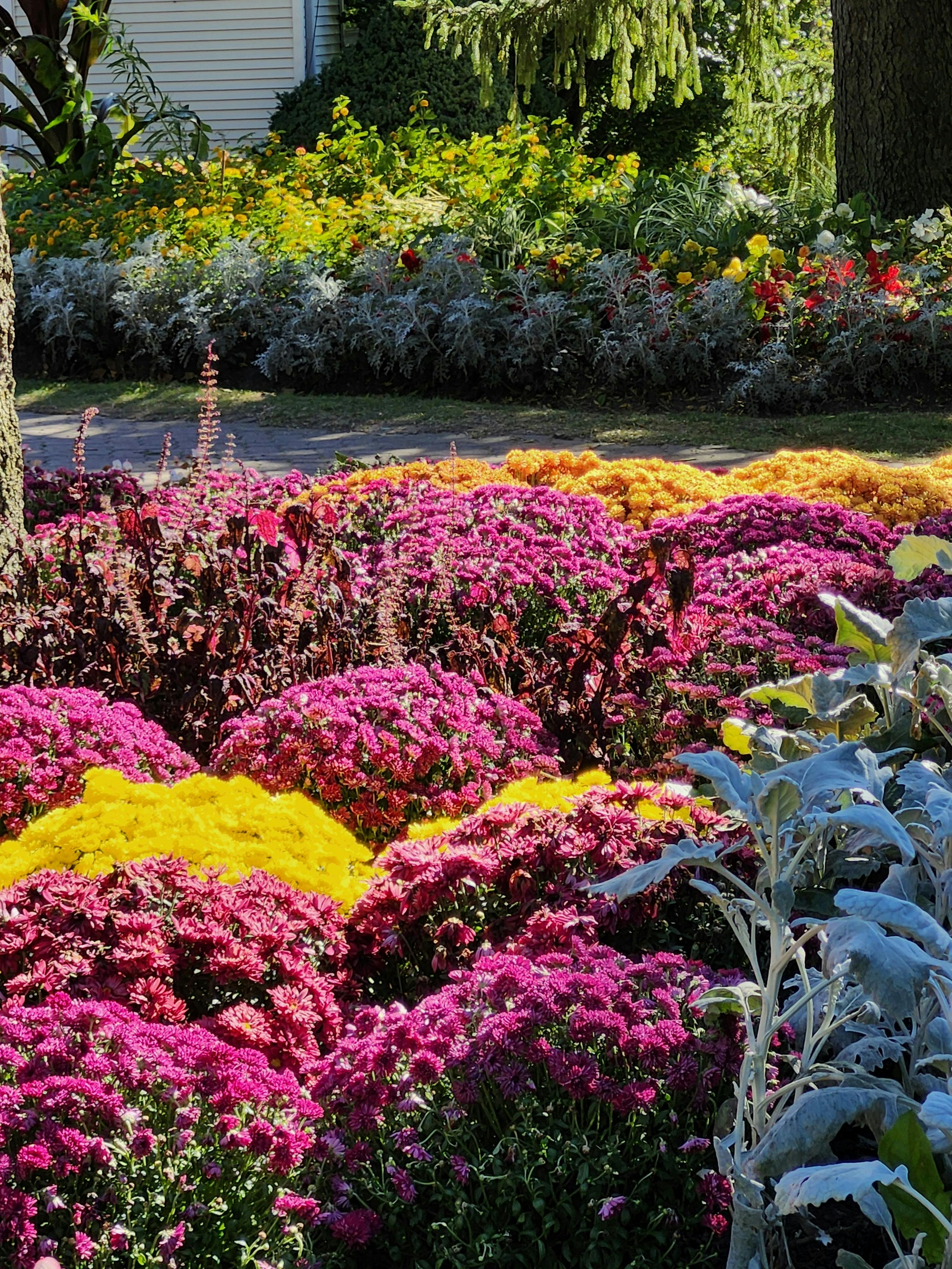 Green Shrubbery Photos, Download The BEST Free Green Shrubbery Stock ...