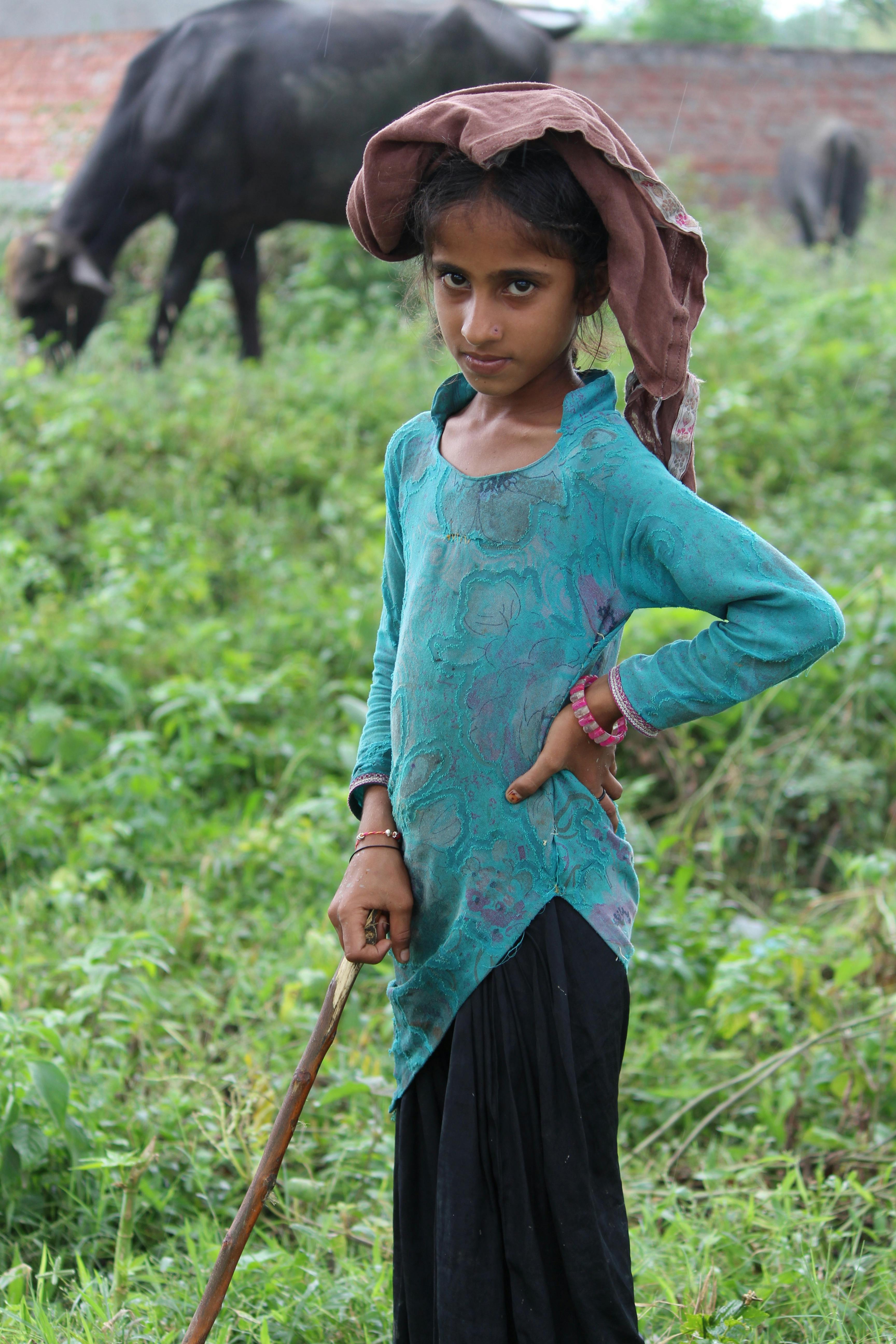 Young Girl in Rural Setting with Cattle · Free Stock Photo