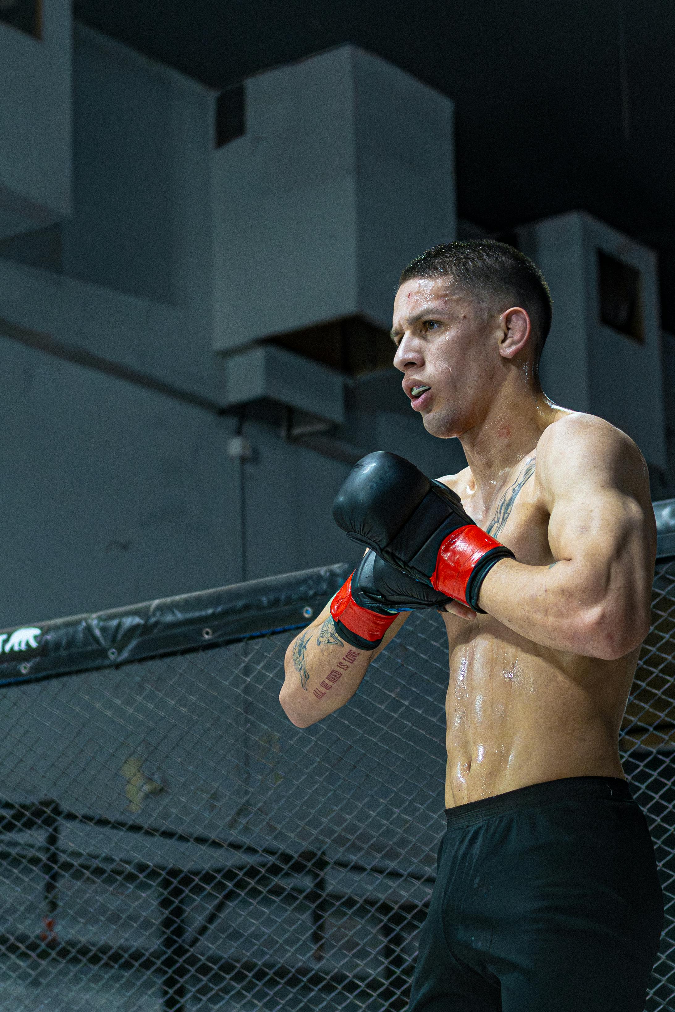 MMA Fighter Training at Buenos Aires Gym · Free Stock Photo