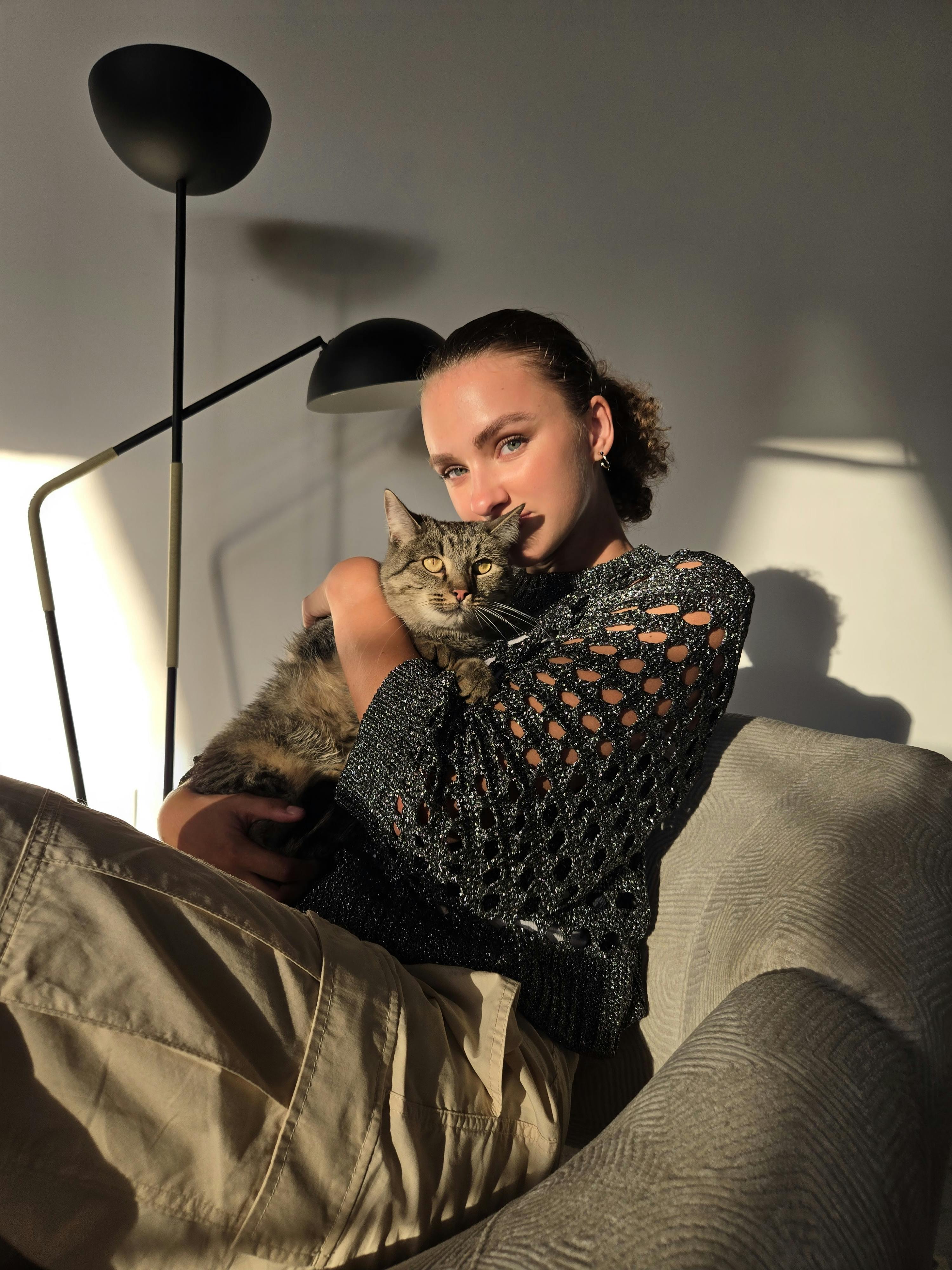 Bilbao Cat Photos, Download The BEST Free Bilbao Cat Stock Photos & HD ...