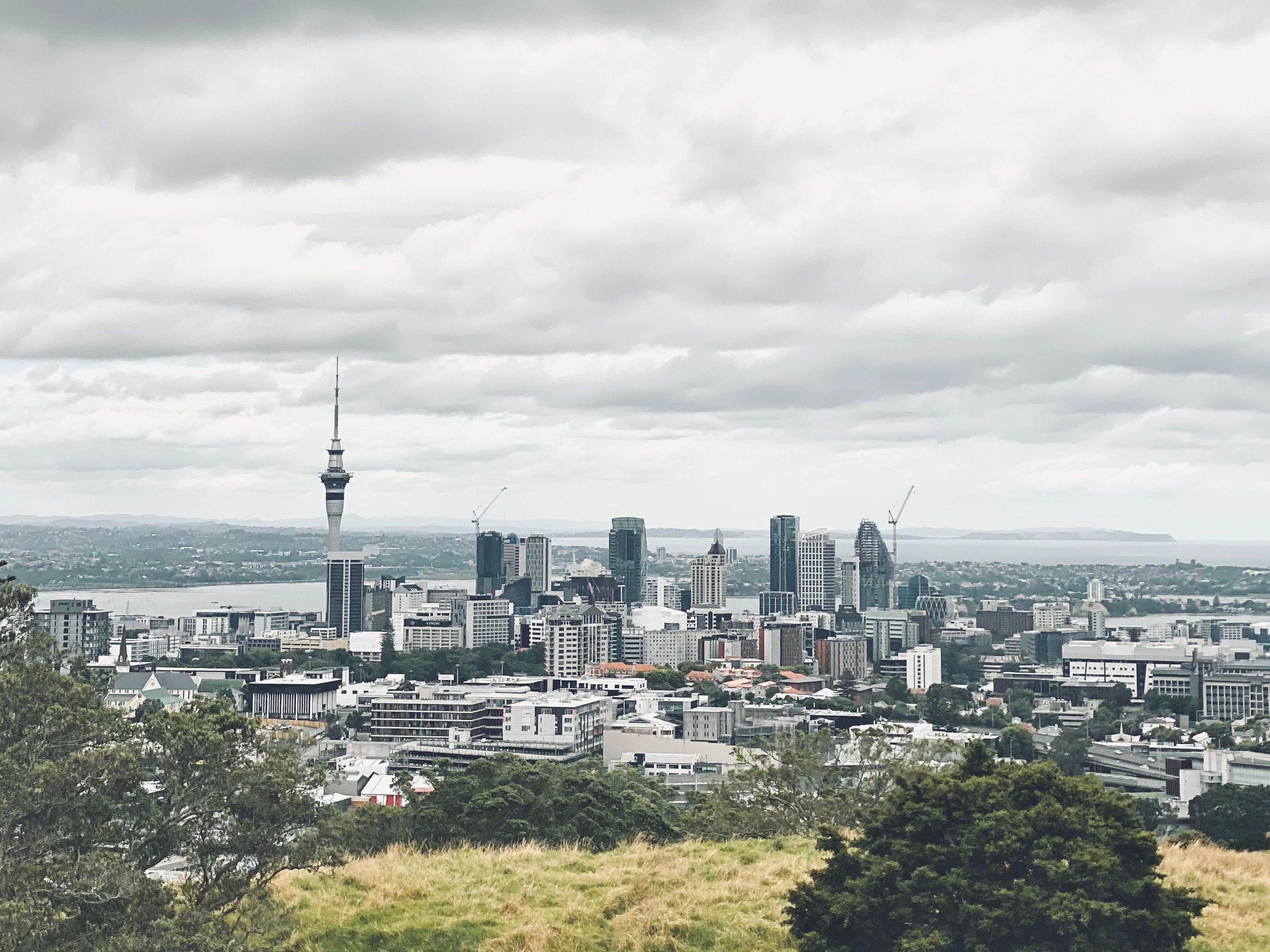 Auckland Skyline with Sky Tower and Ocean View · Free Stock Photo