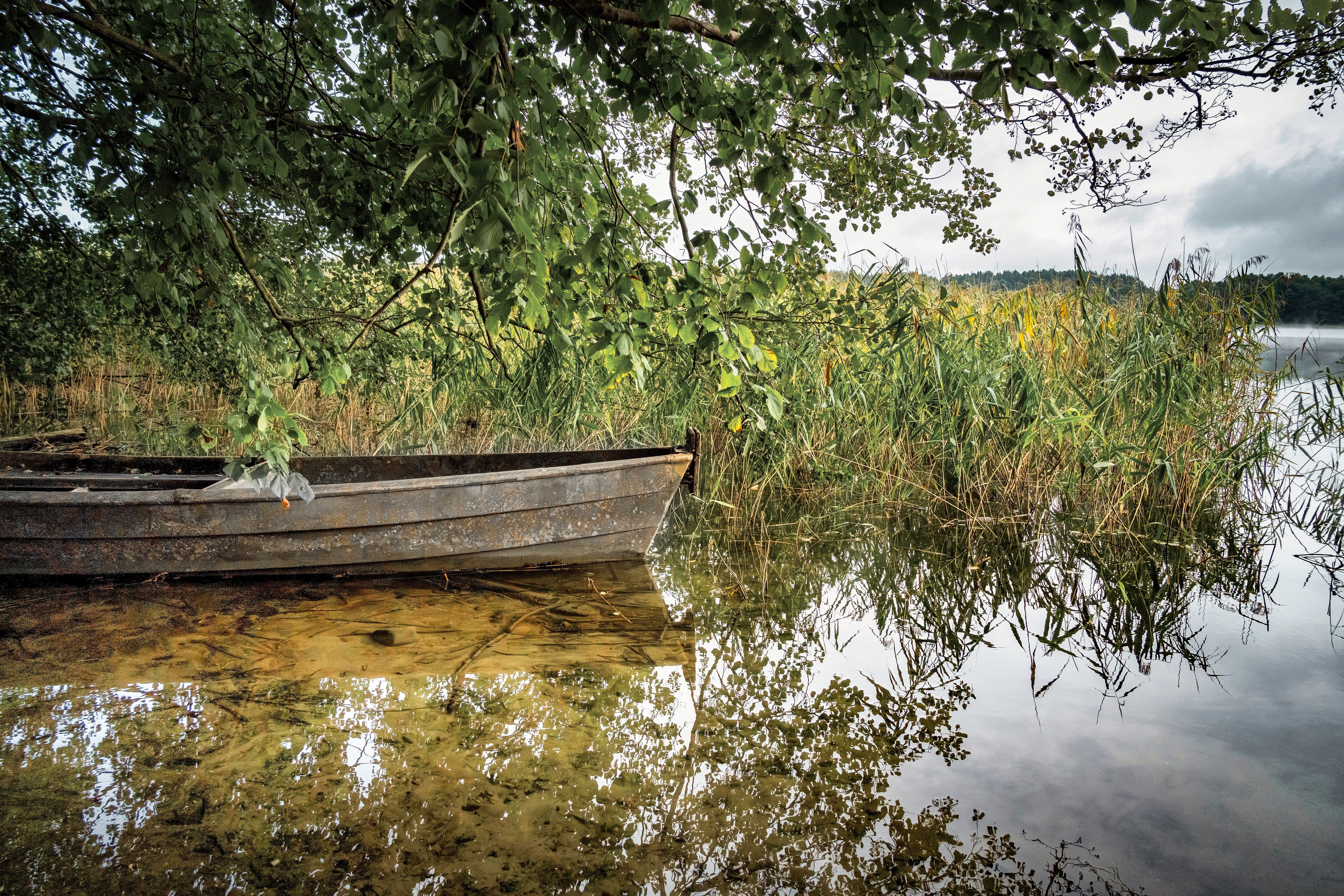 Tranquil Scene with Boat by Riverside Vegetation · Free Stock Photo