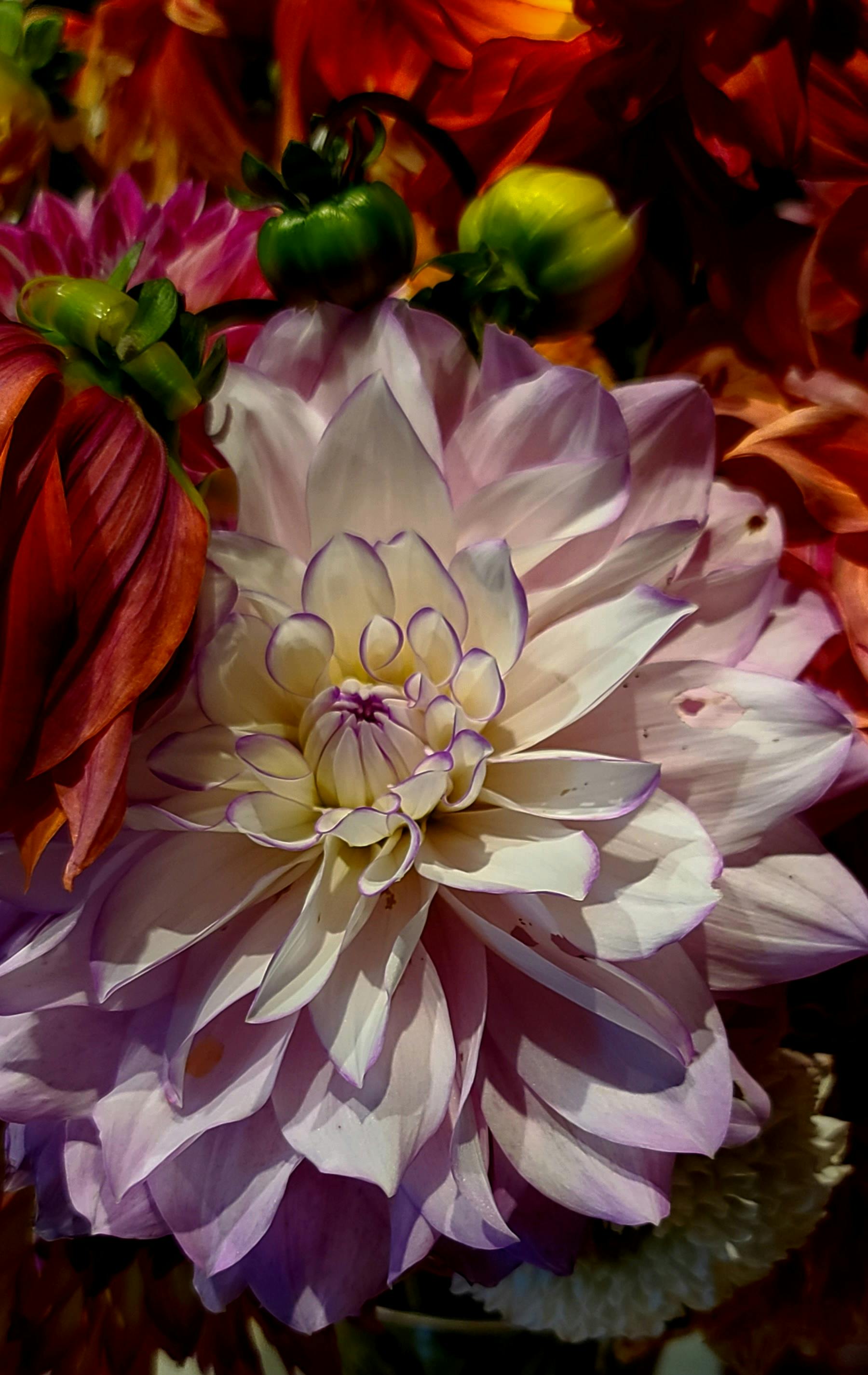 Flower Petals Texture Photos, Download The BEST Free Flower Petals ...