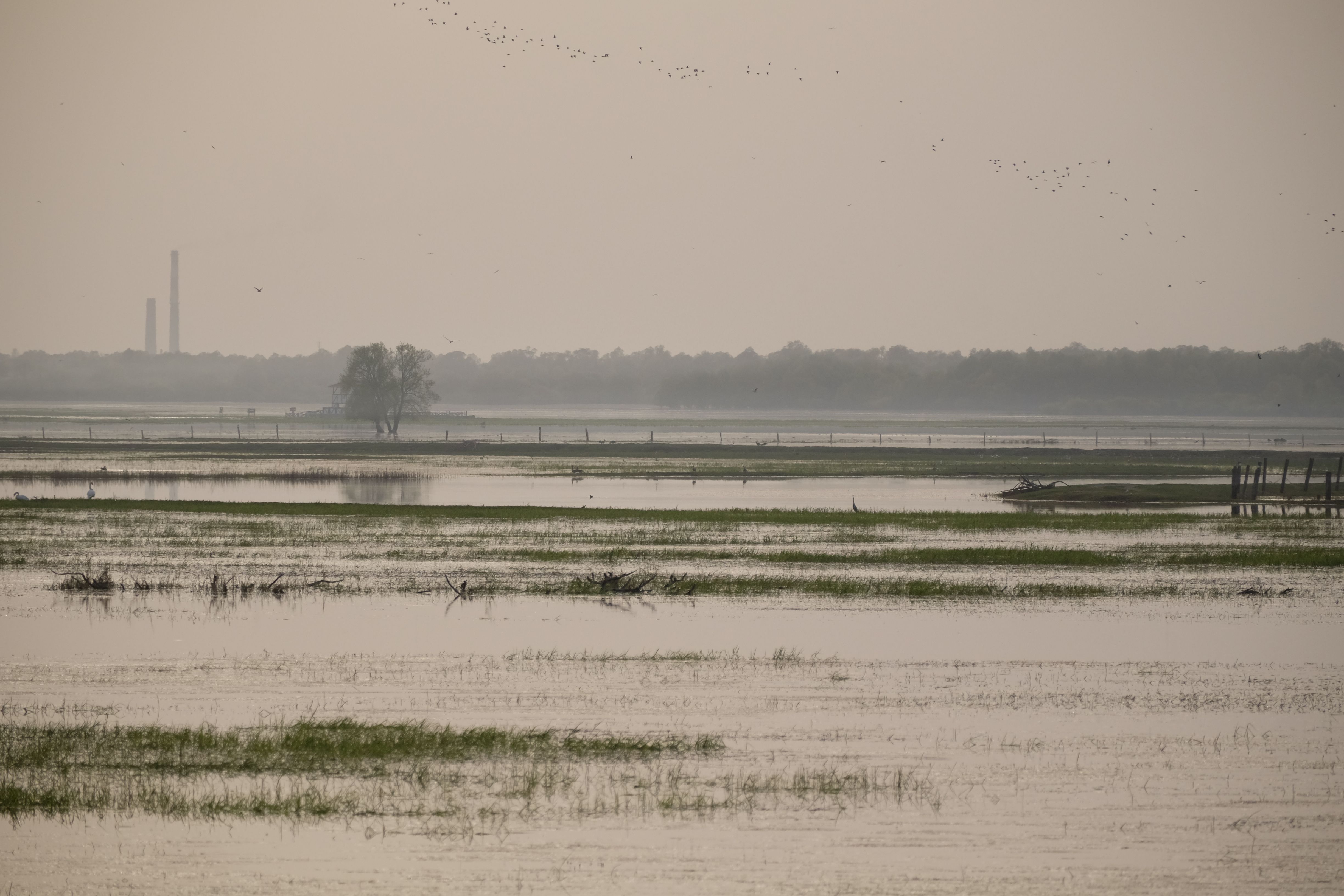 Flat Wetlands Photos, Download The BEST Free Flat Wetlands Stock Photos ...