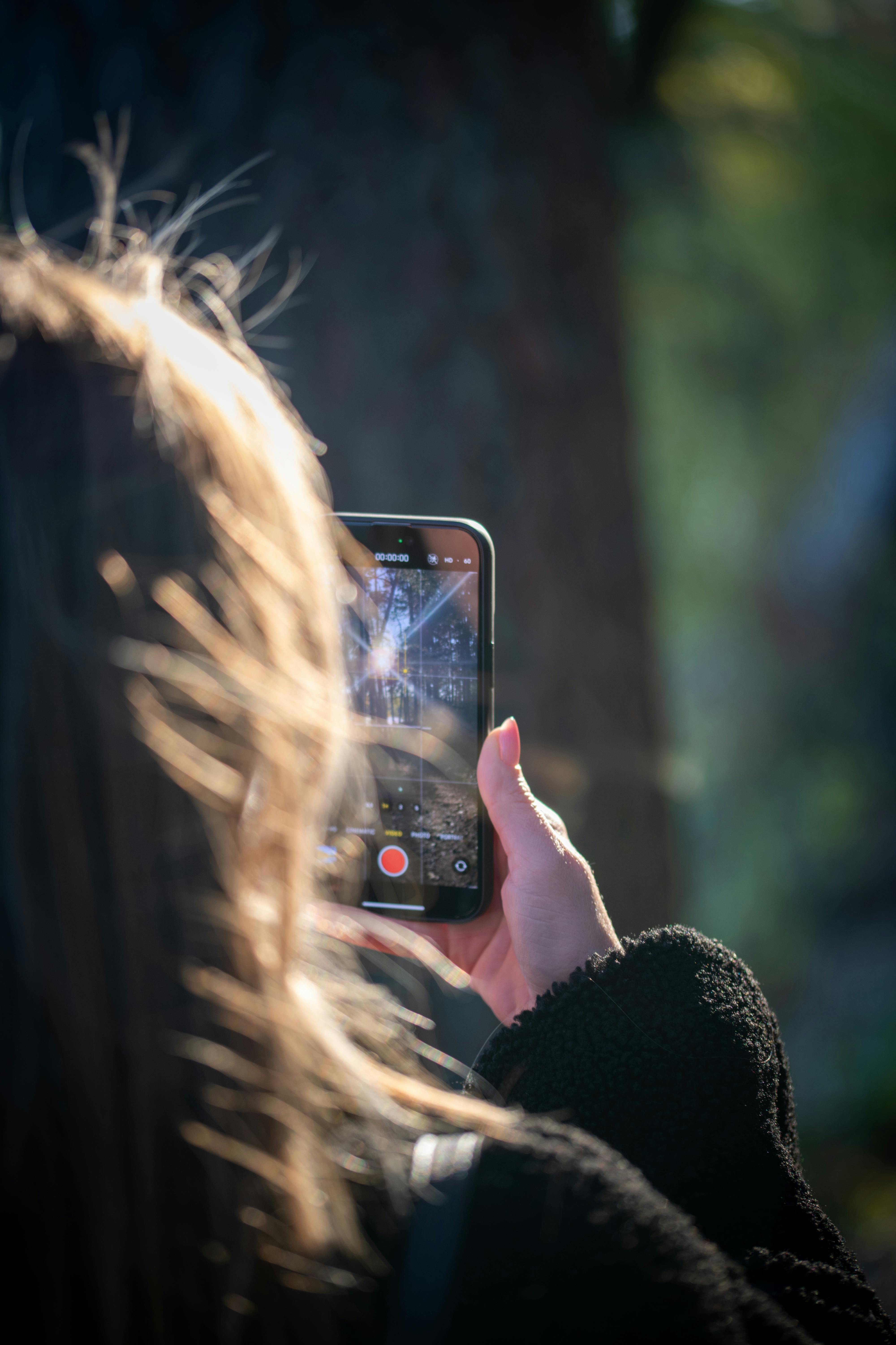 Capturing Nature on Smartphone in Aukštadvaris · Free Stock Photo