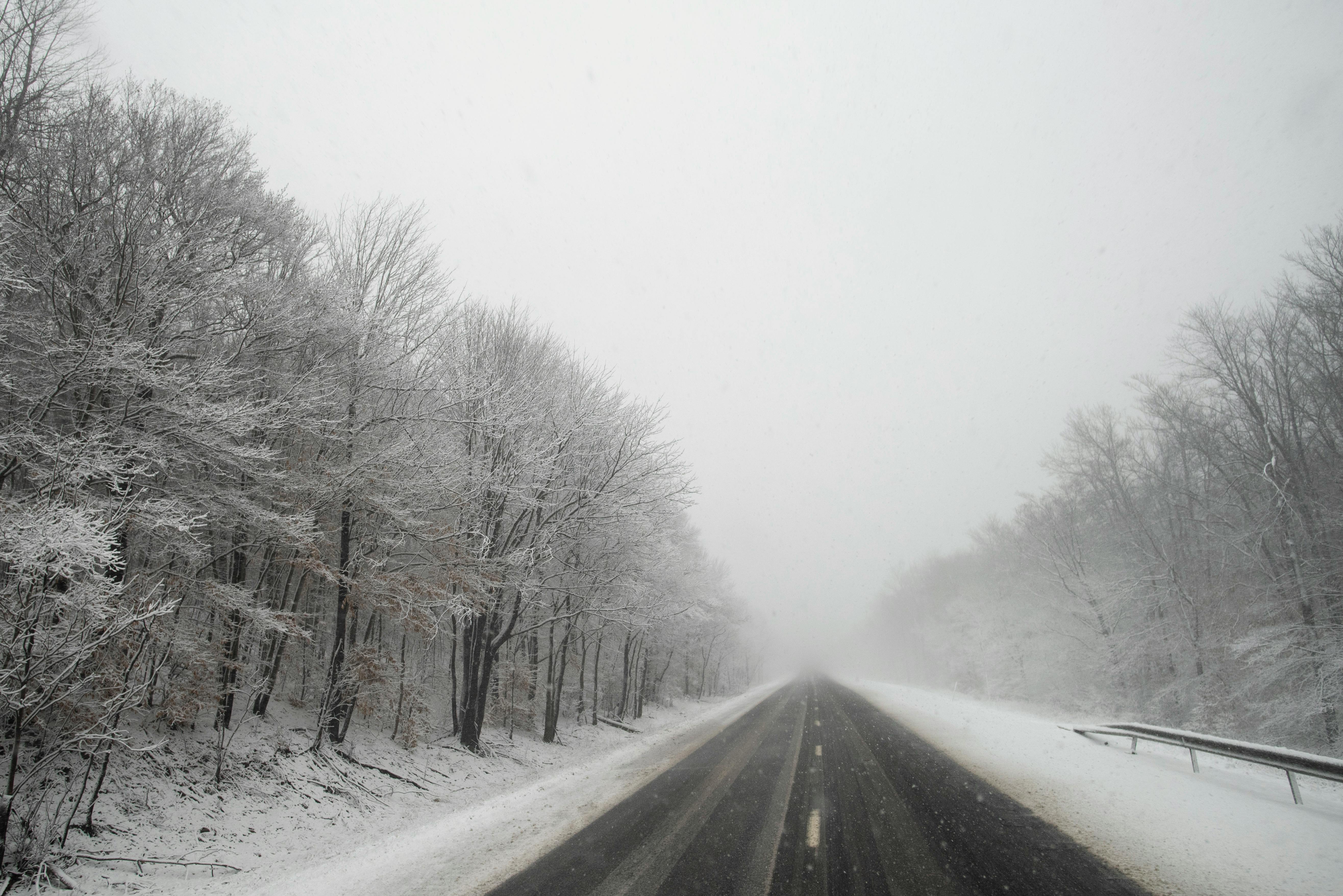 Peaceful Driving Photos, Download The BEST Free Peaceful Driving Stock ...