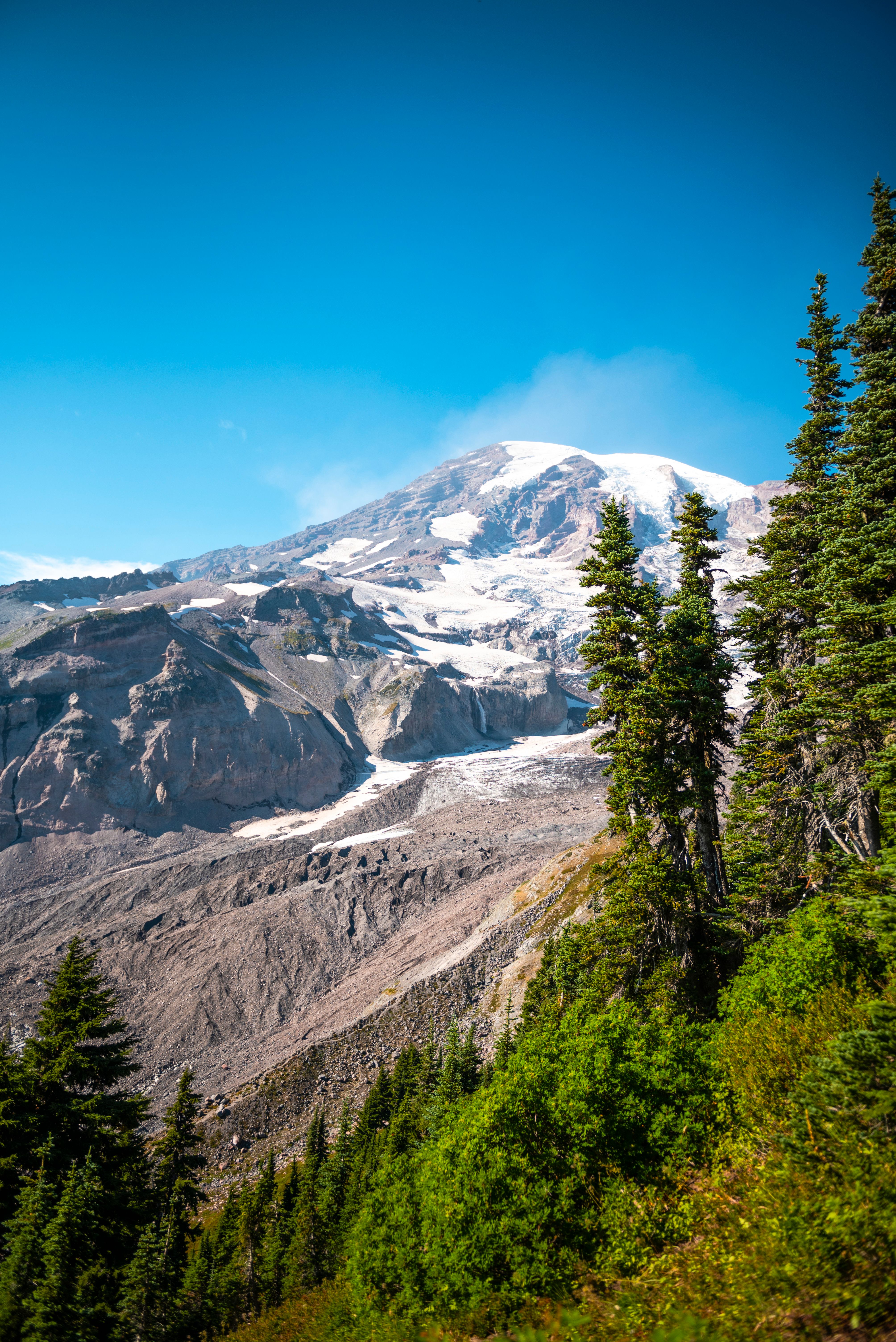 Parkland Washington Photos, Download The BEST Free Parkland Washington ...