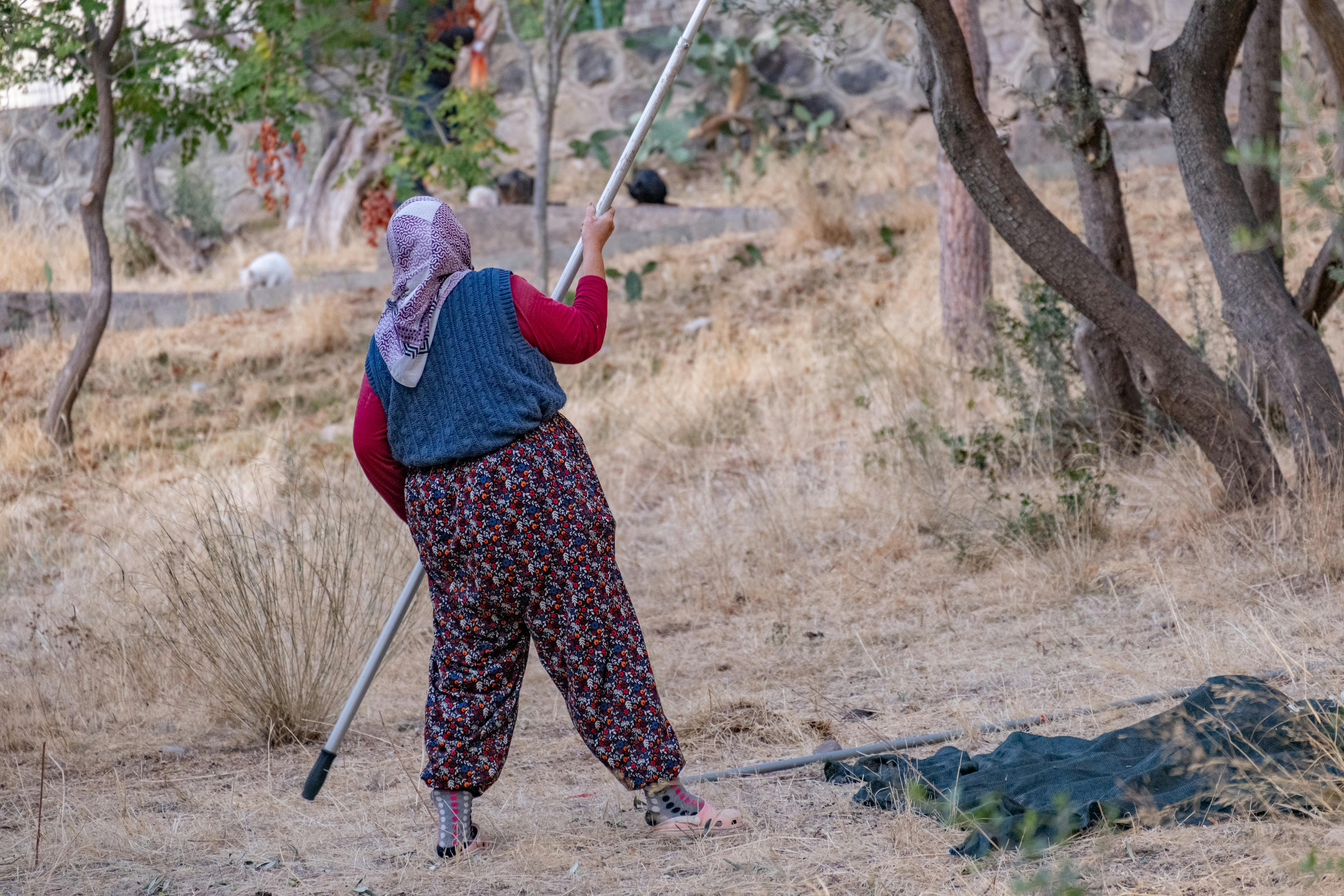 Salvar Turkish Traditional Trouser Photos, Download The BEST Free ...