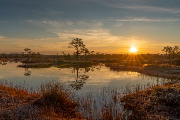 Wetlands 4k Photos, Download The BEST Free Wetlands 4k Stock Photos ...
