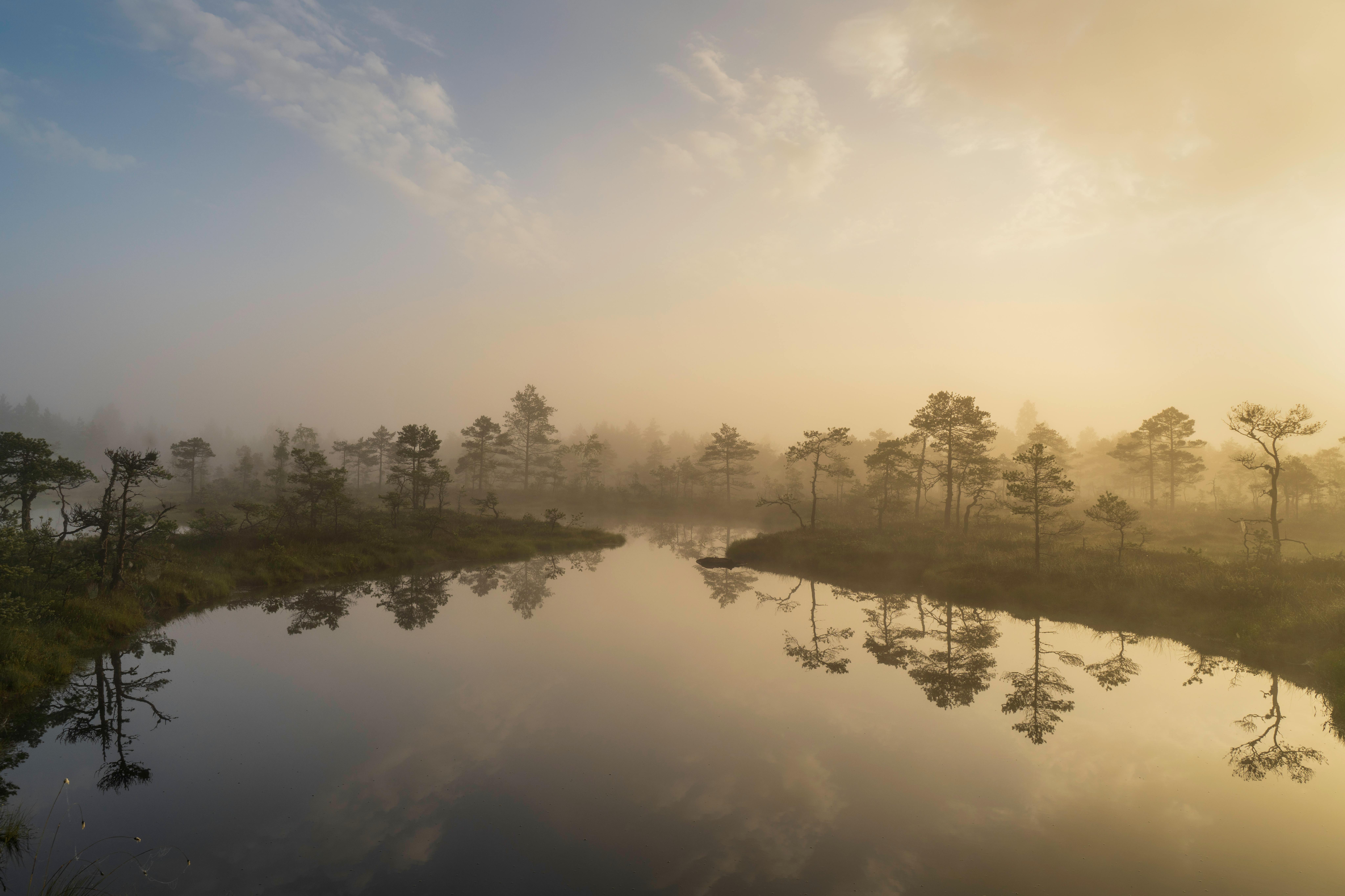 Nature Photo Hd Photos, Download The BEST Free Nature Photo Hd Stock ...