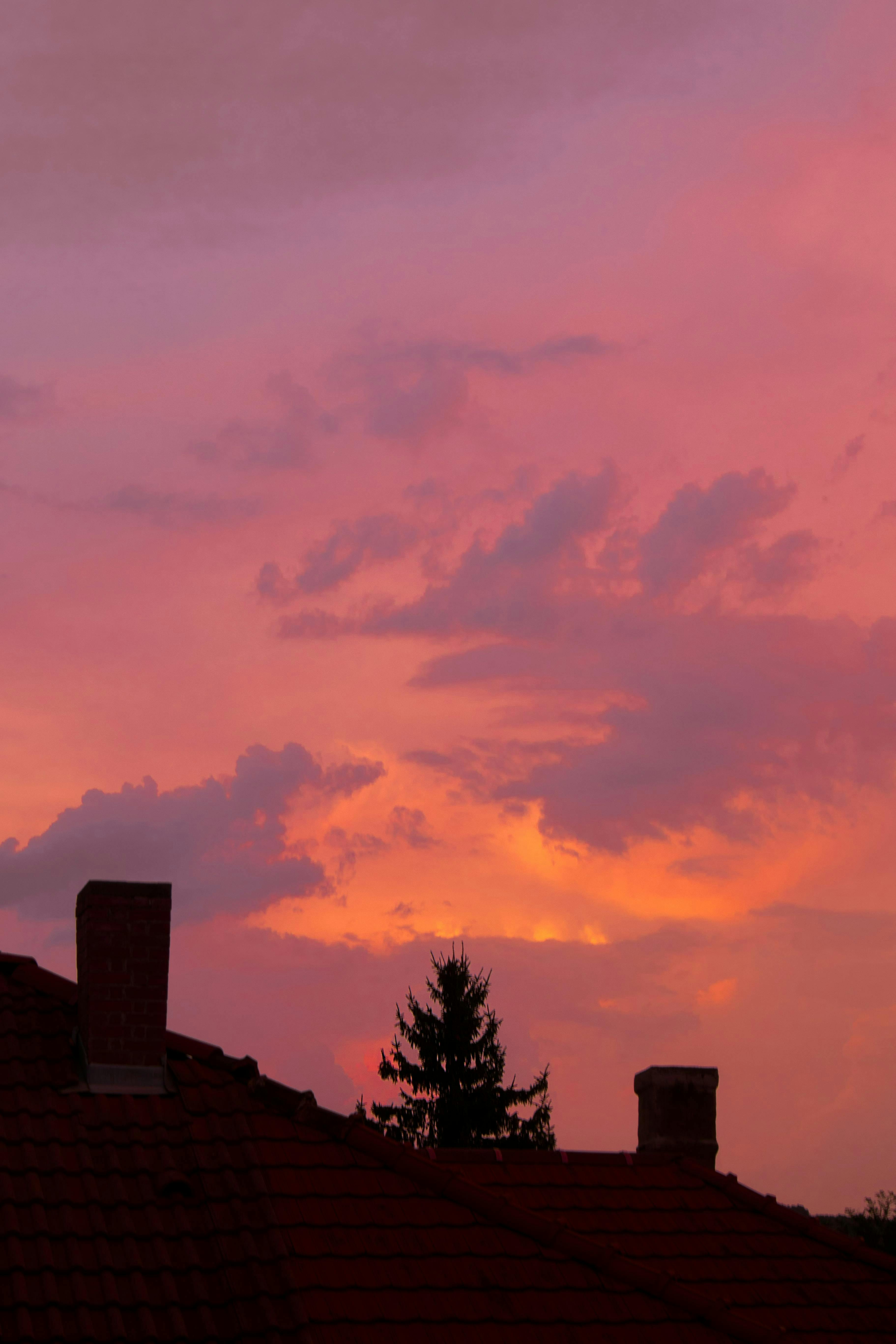 Dramatic Sunset Over Rooftops and Pine Tree · Free Stock Photo