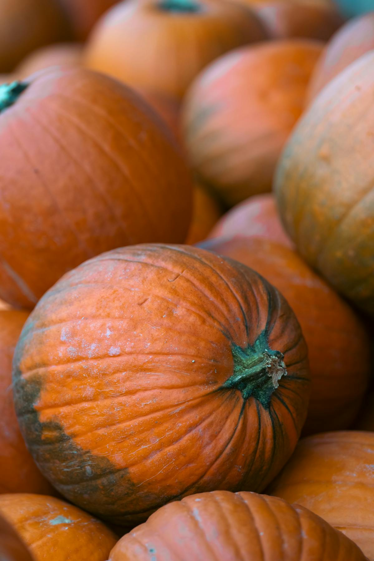 Jk+Up+Up+Bh+Kl+Yo+Yo+Jk+Op+Jk+Ii+Mk+Jk+Op+Yu+Yu+Op+Hj+Op+Mk+Yo+Op Photos, Download The BEST Free ...