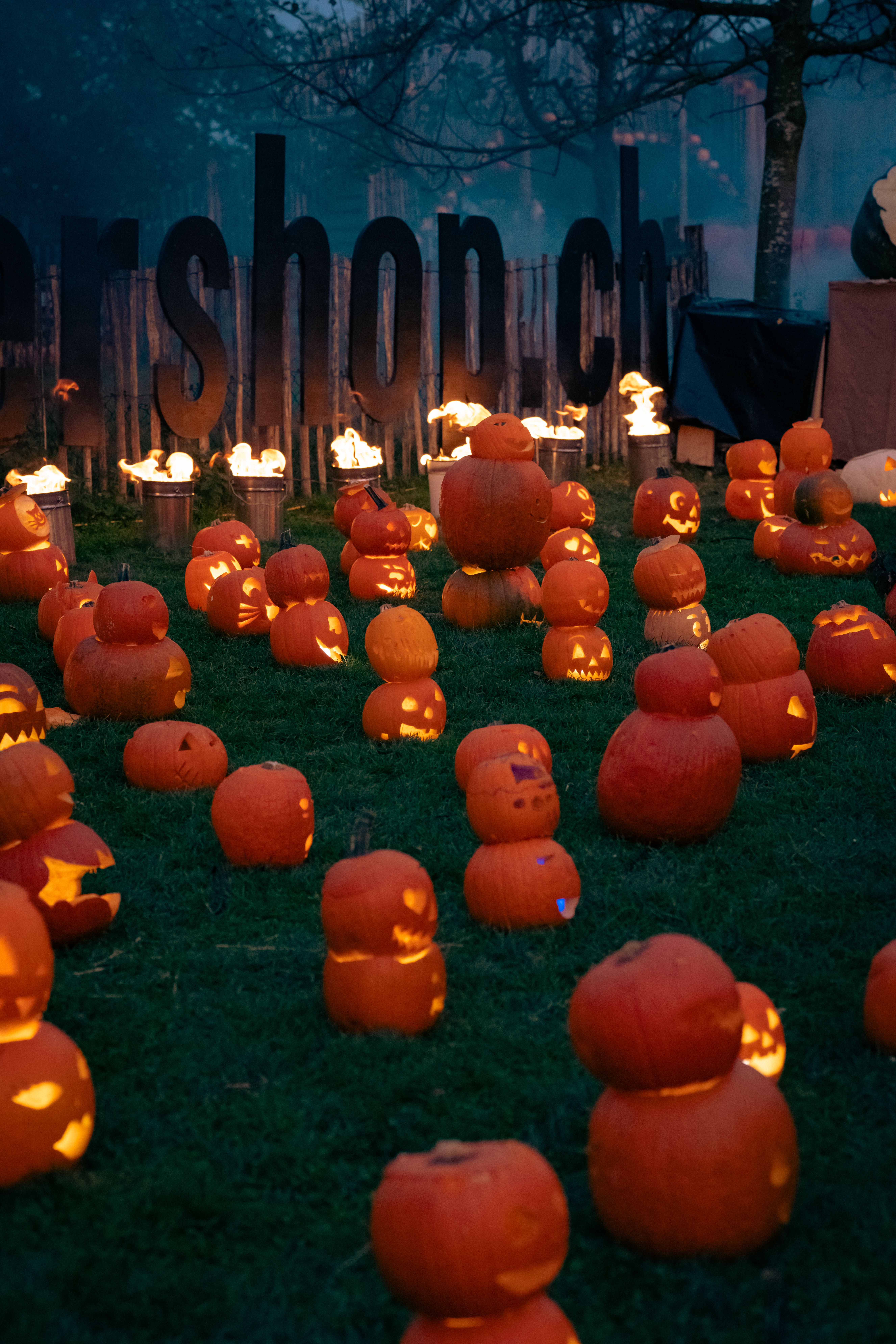 Enchanting Halloween Pumpkin Display Outdoors · Free Stock Photo