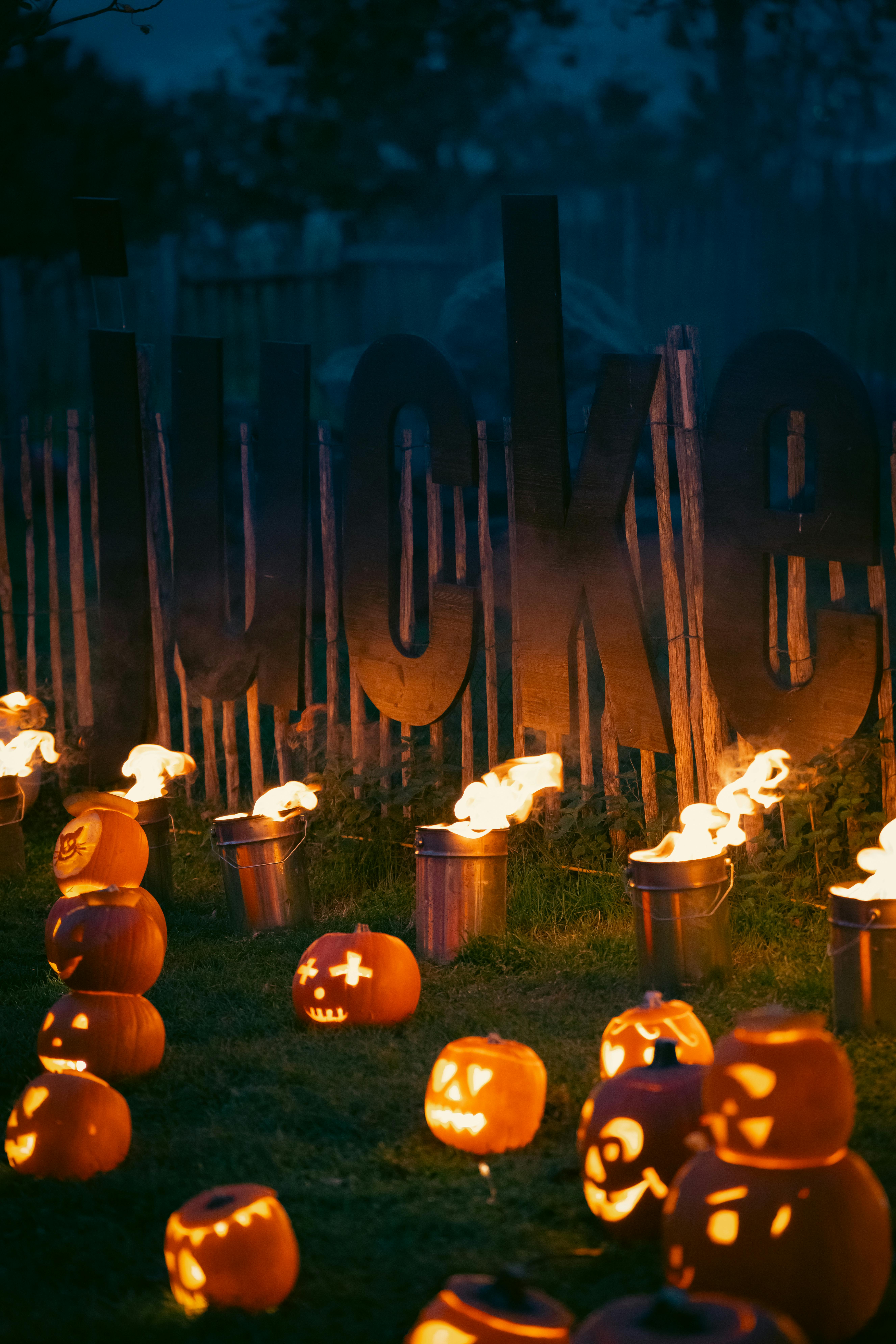 Spooky Halloween Jack-o'-Lanterns in the Fog · Free Stock Photo