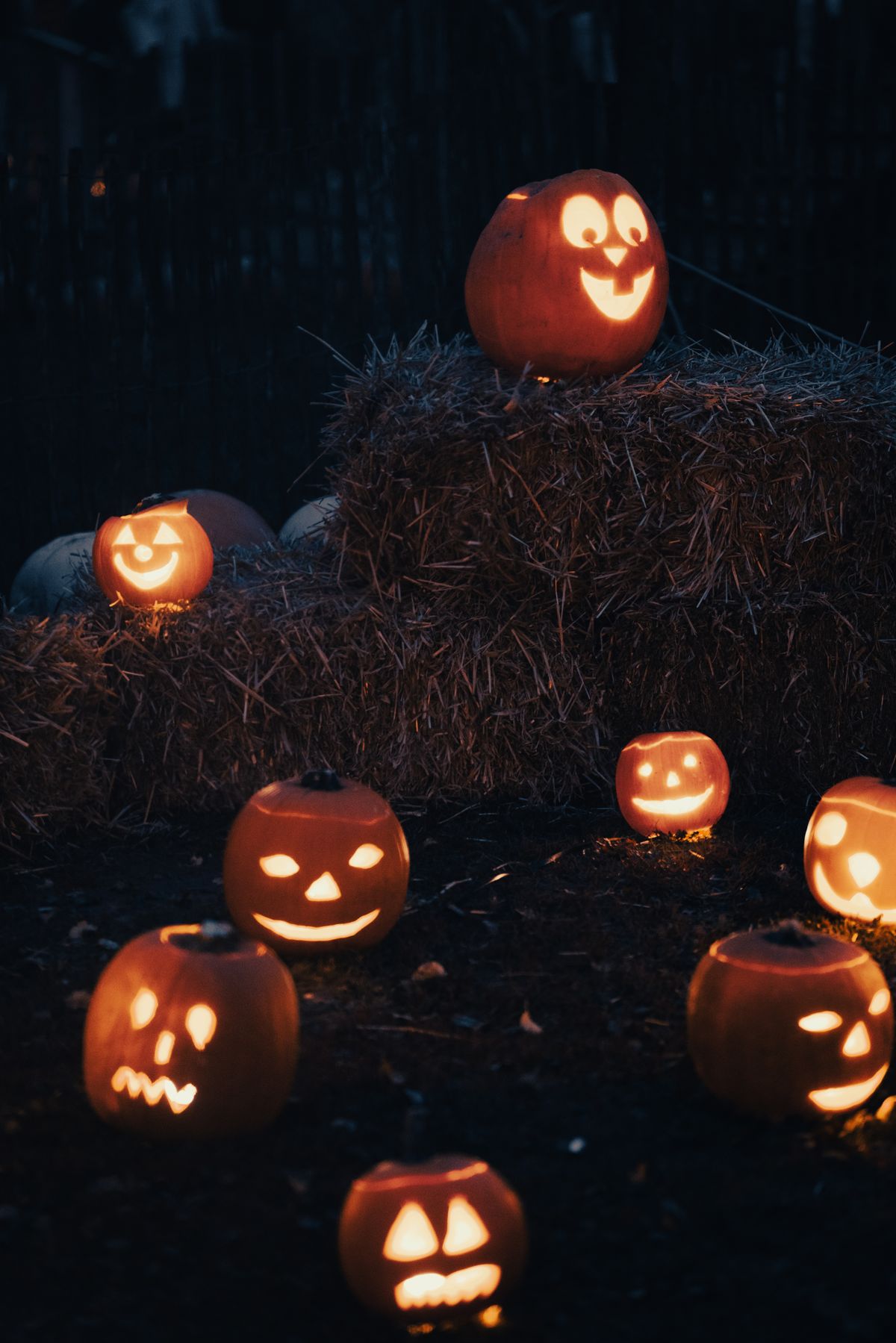 Halloween Vibes Photos, Download The BEST Free Halloween Vibes Stock ...