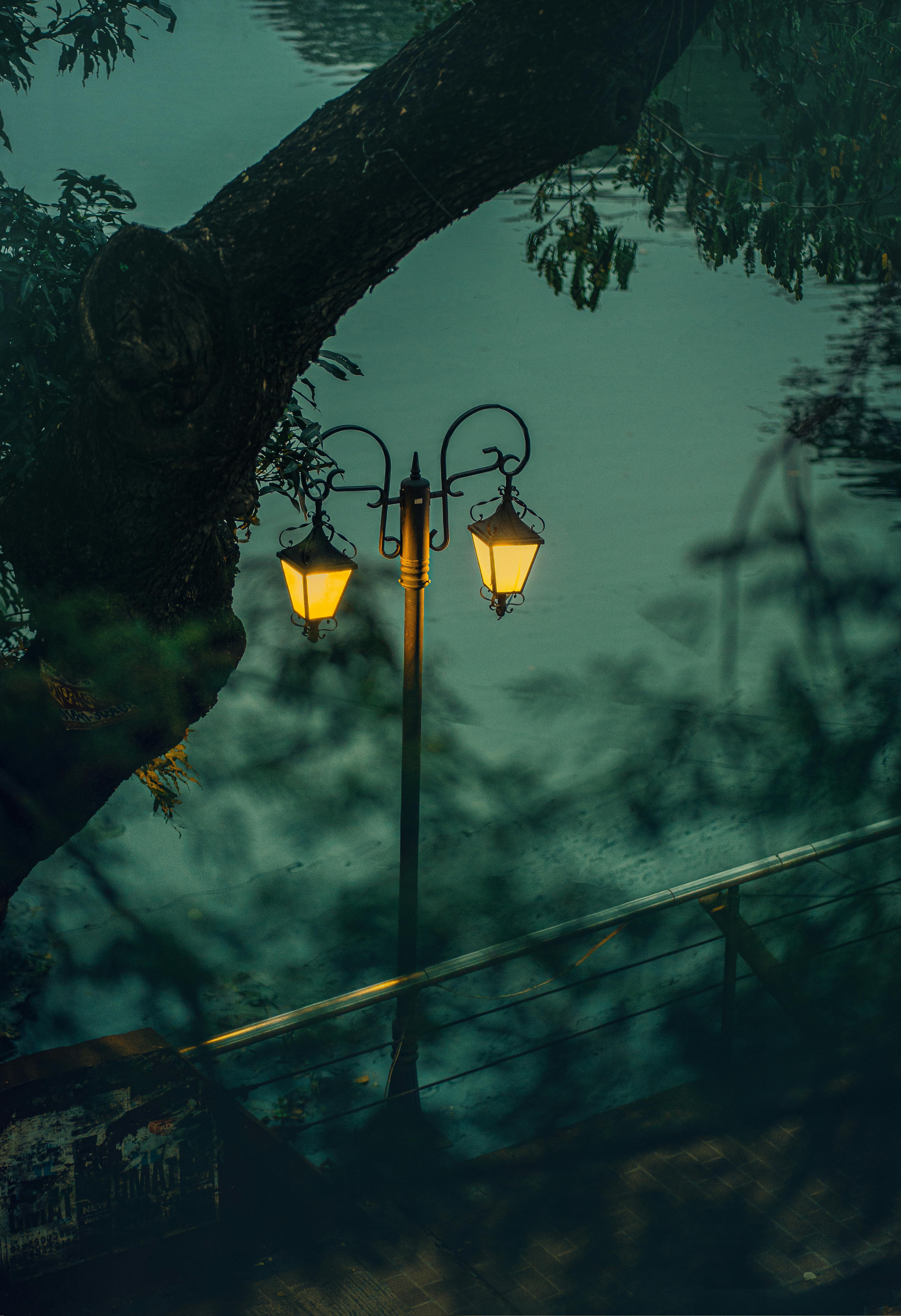 Serene Night Street Lamp in Dhaka · Free Stock Photo