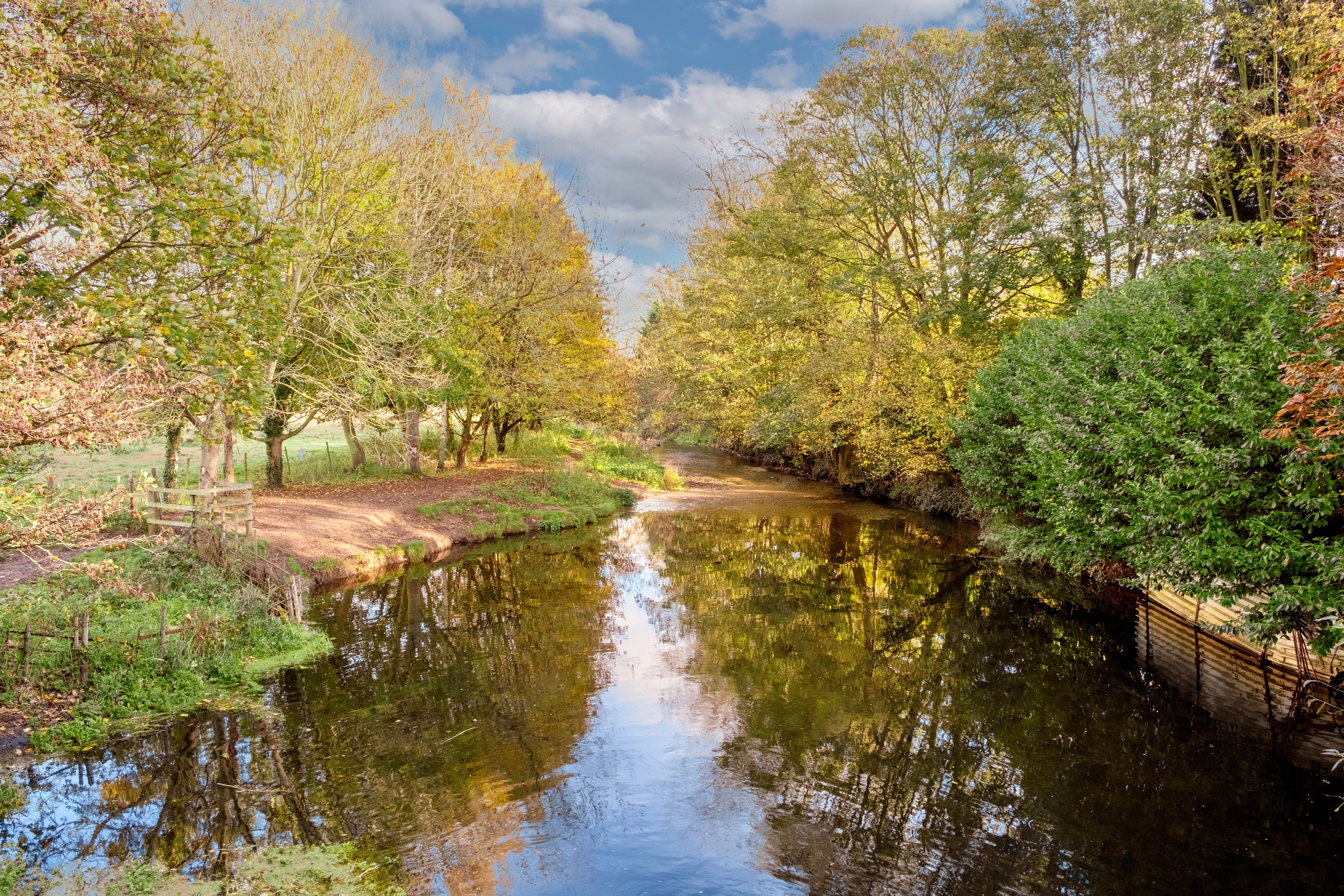 Serene Autumn River Scene in Suffolk, England · Free Stock Photo